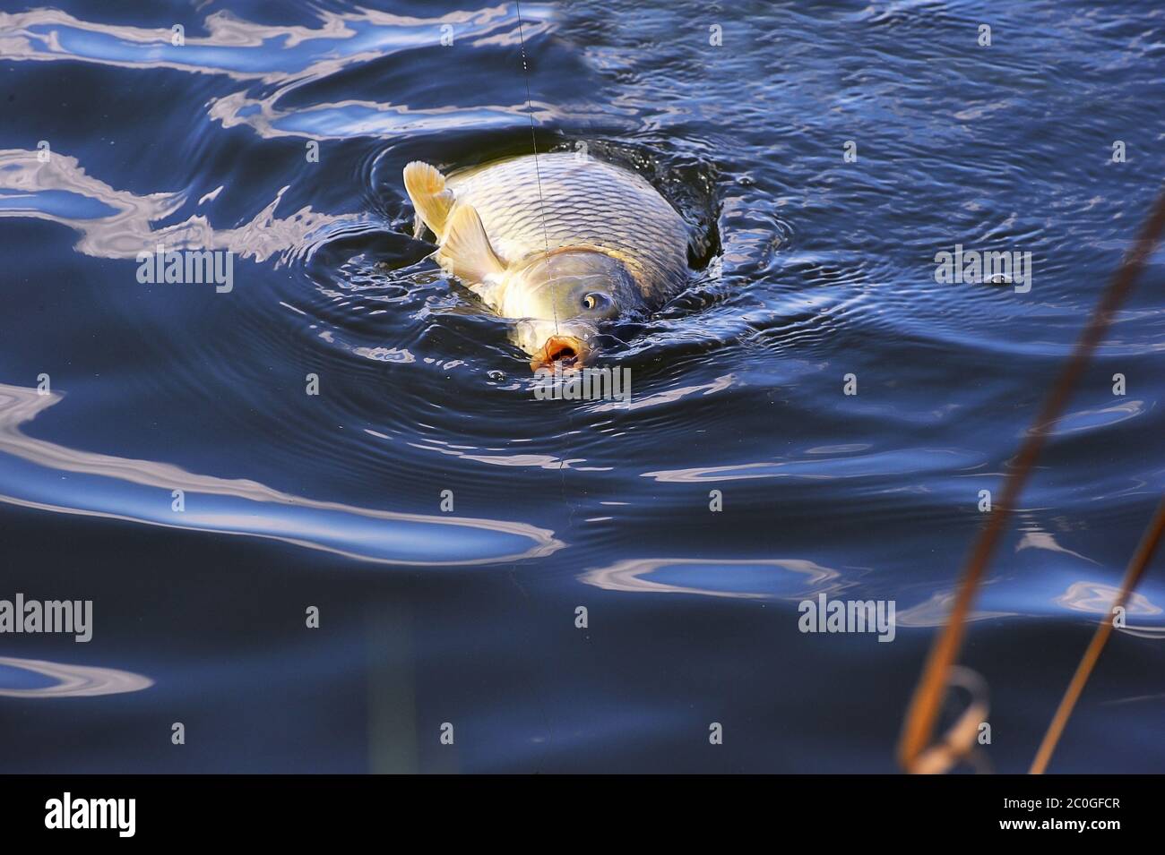 Catching up in fresh hi-res stock photography and images - Alamy