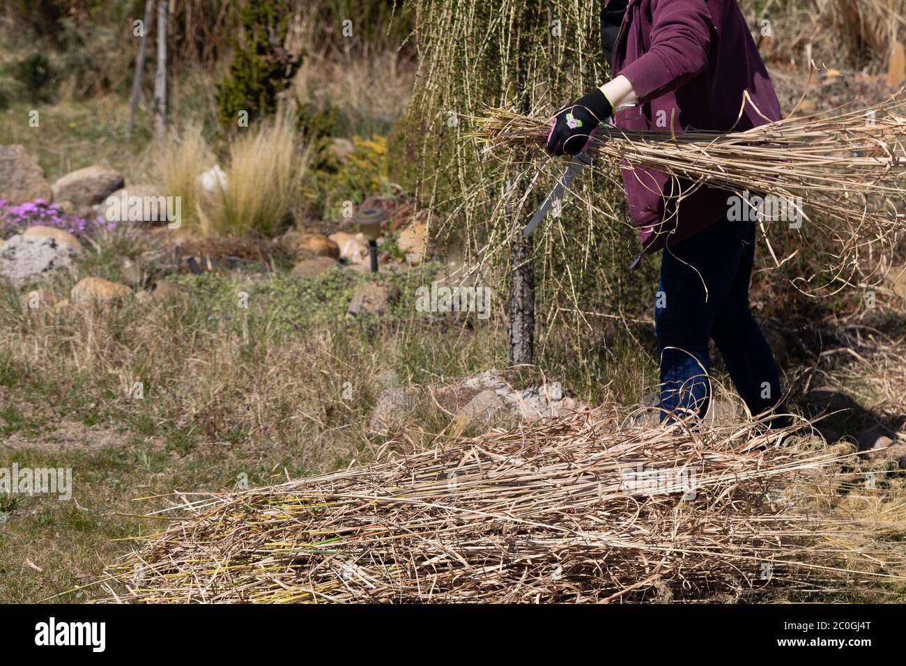 Pile of dry grass. Middle-aged red-haired girl. Cleaning up the ...
