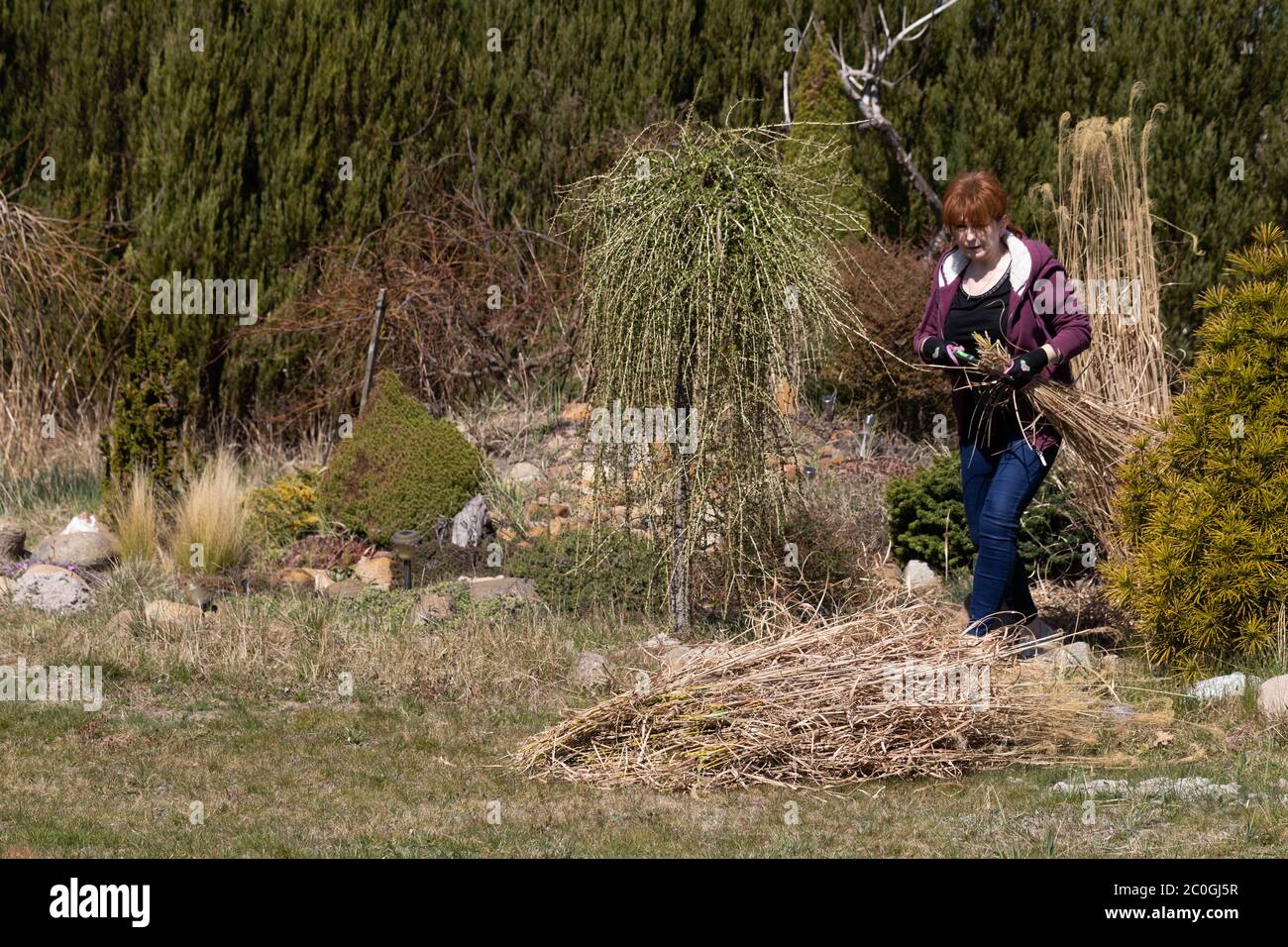 Pile of dry grass. Middle-aged red-haired girl. Cleaning up the ...