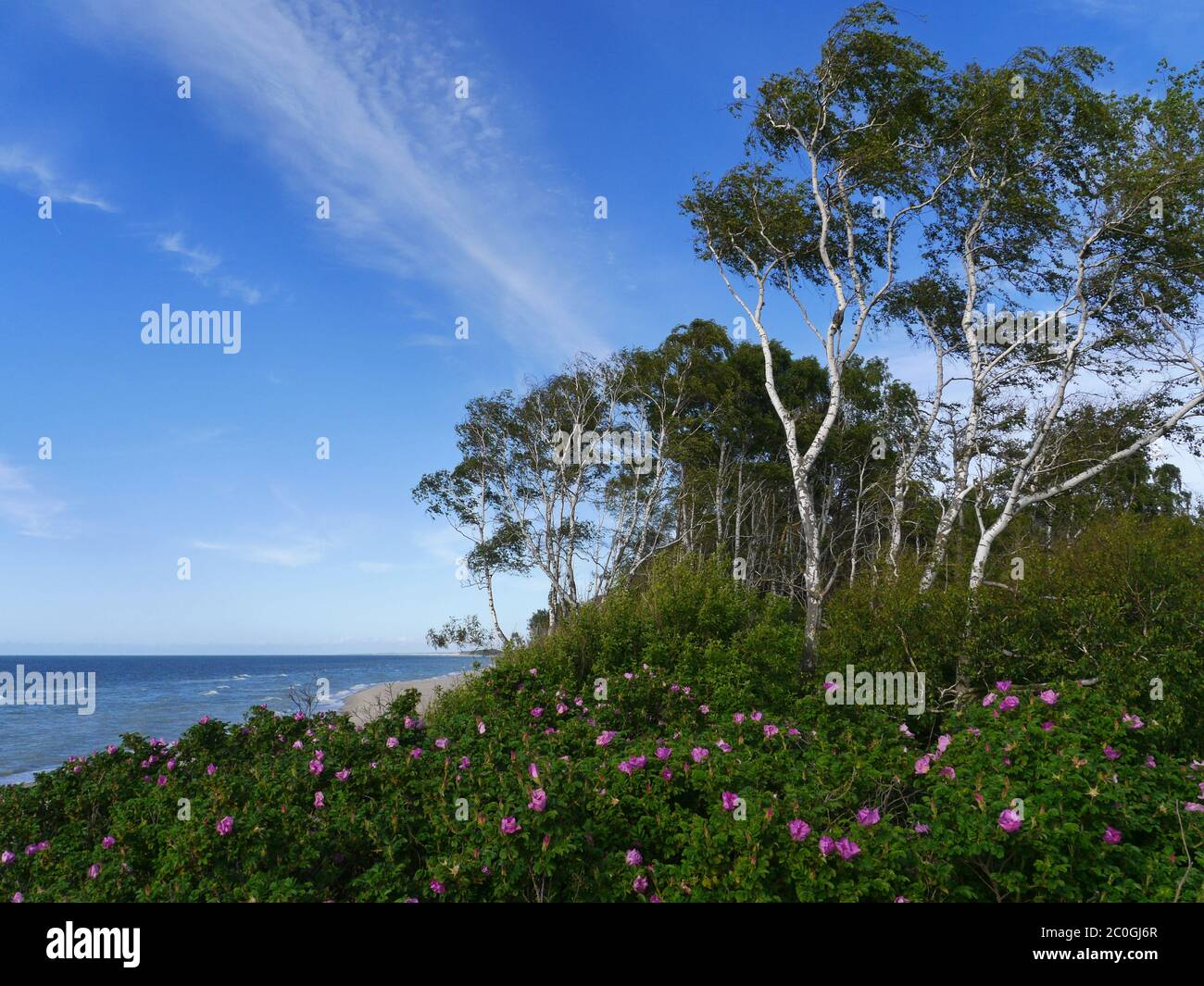 Curonian peninsula hi-res stock photography and images - Alamy