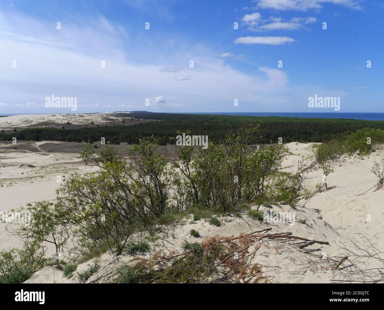 dune at the Curonian Spit Lithuania Stock Photo - Alamy