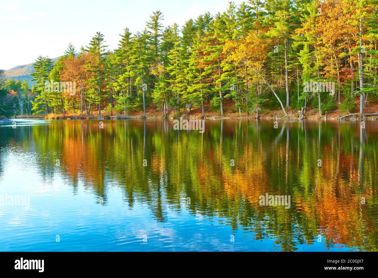 Pond in White Mountain National Forest, New Hampshire Stock Photo - Alamy