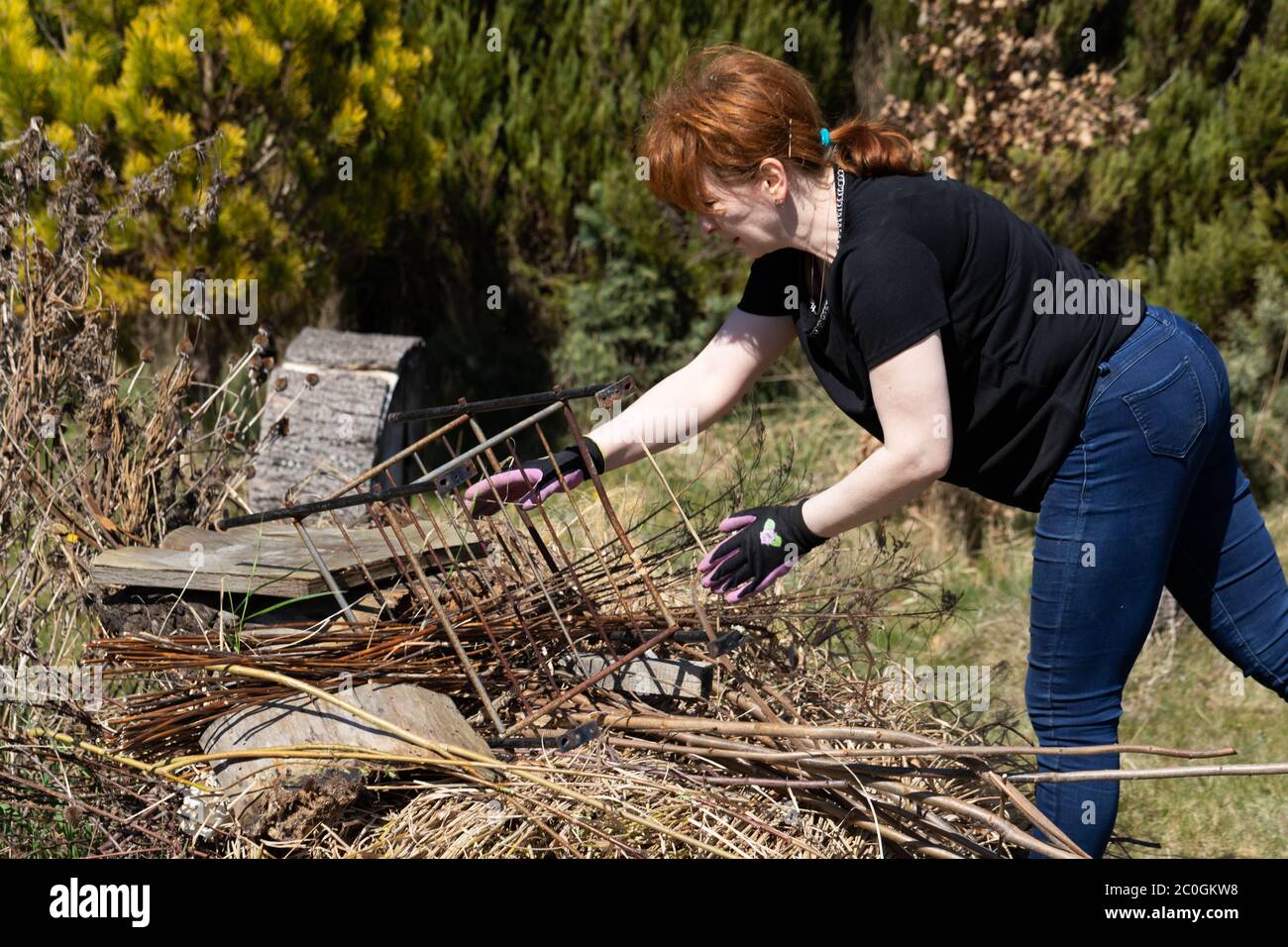 Pile of dry grass. Middle-aged red-haired girl. Cleaning up the ...
