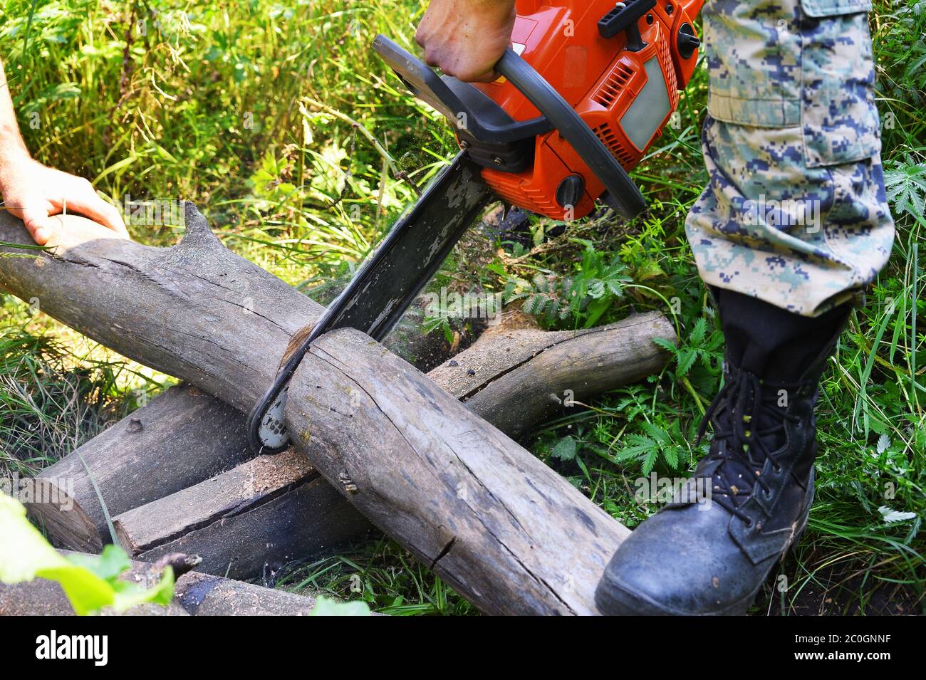 Chainsaw cut hi-res stock photography and images - Alamy