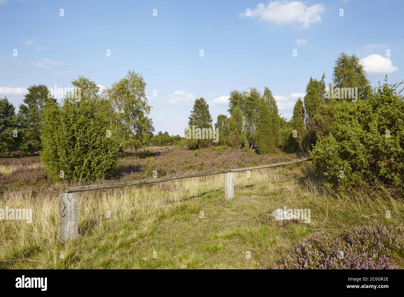 Lüneburger heide landscape hi-res stock photography and images - Alamy