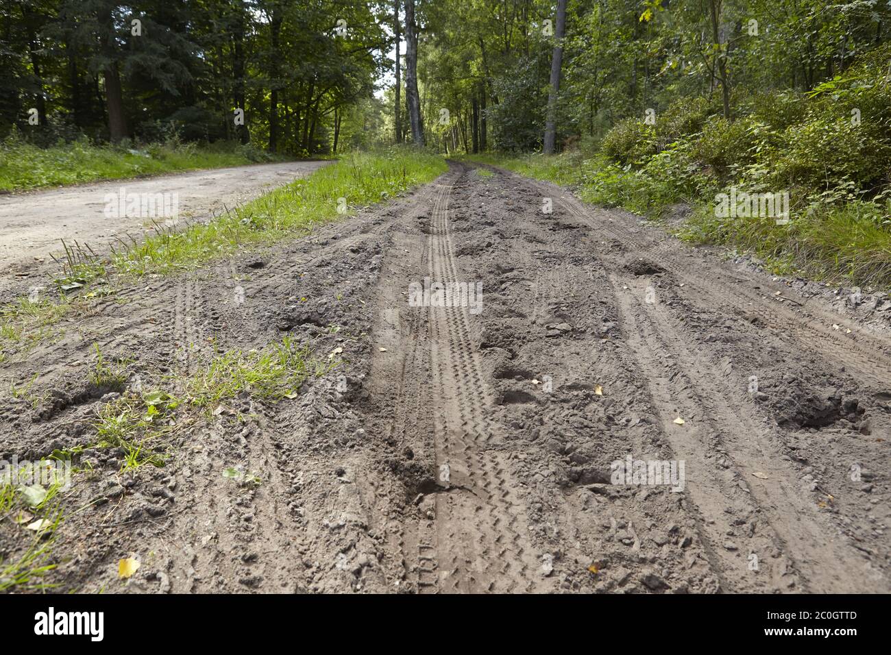 Wagon tracks hi-res stock photography and images - Alamy