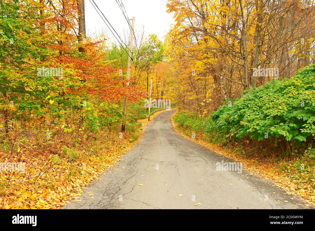 Autumn scene with road Stock Photo - Alamy