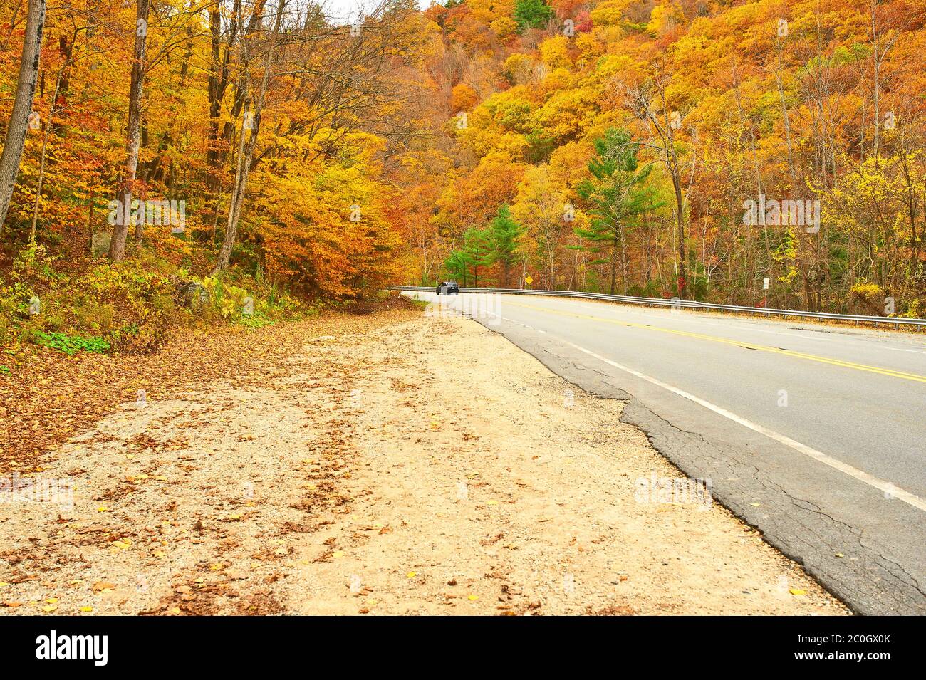 Autumn scene with road Stock Photo - Alamy