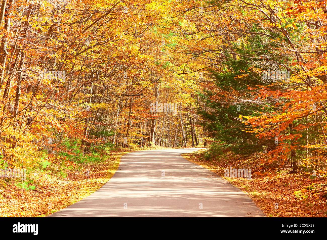 Autumn scene with road Stock Photo - Alamy