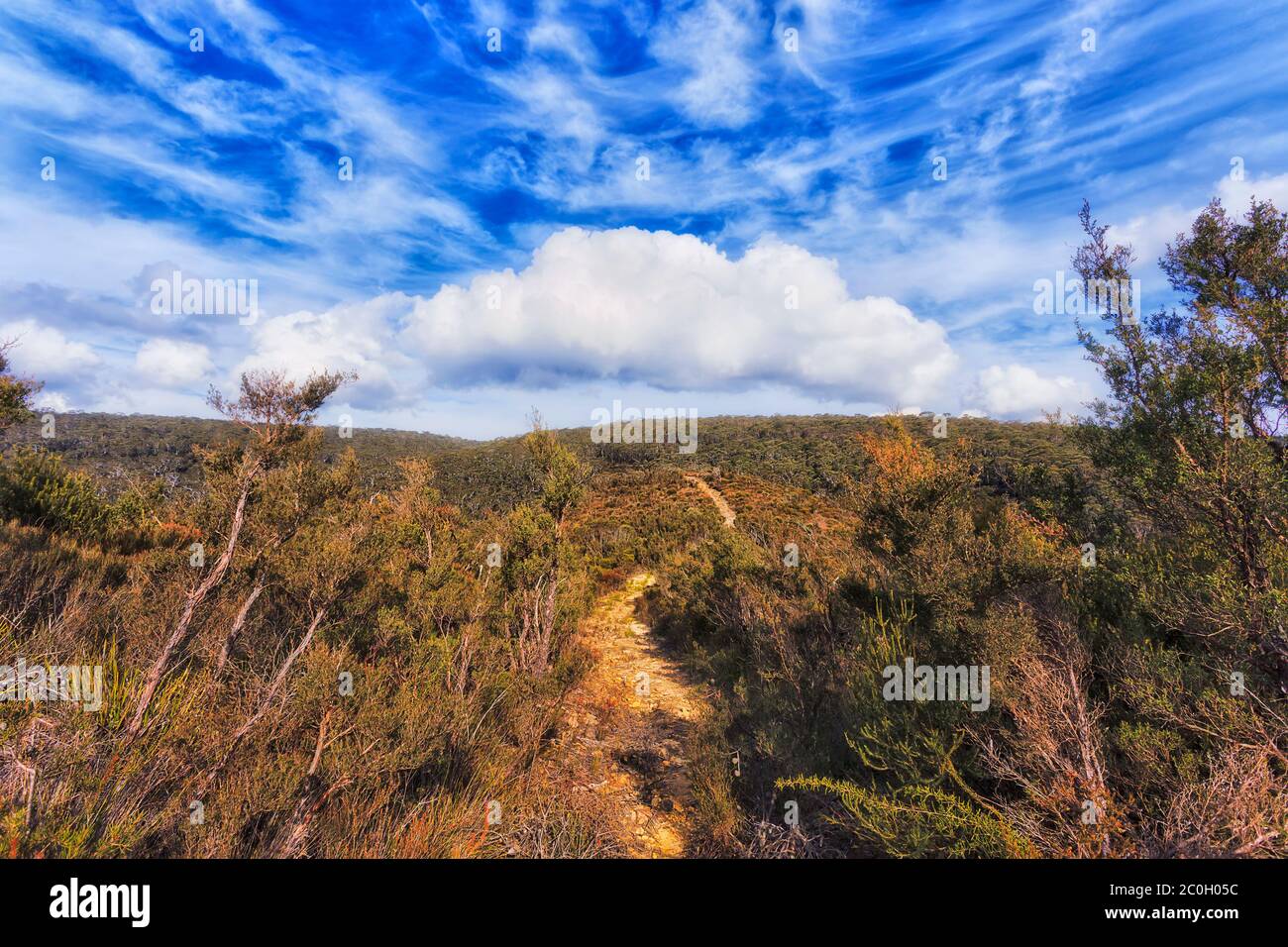 Walking track on top of a range in Grand Canyon of Blue Mountains ...