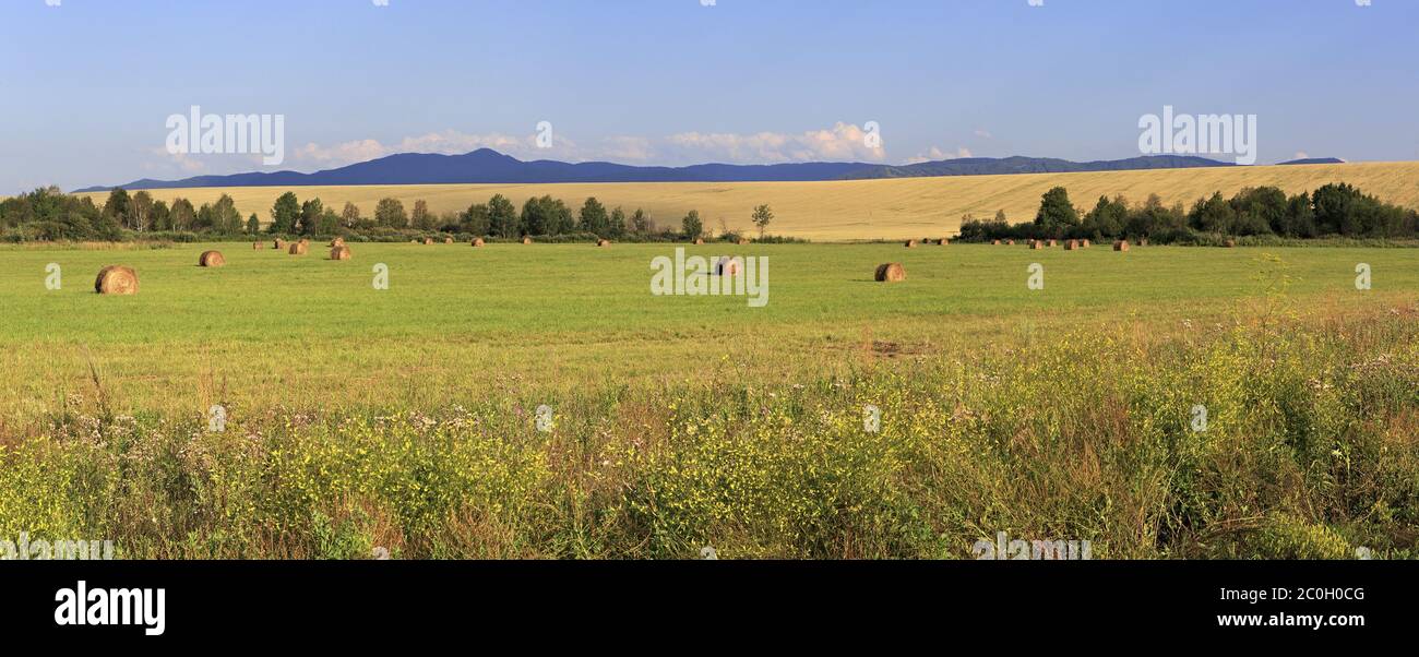 Beautiful panorama the sloping fields and haystacks Stock Photo - Alamy