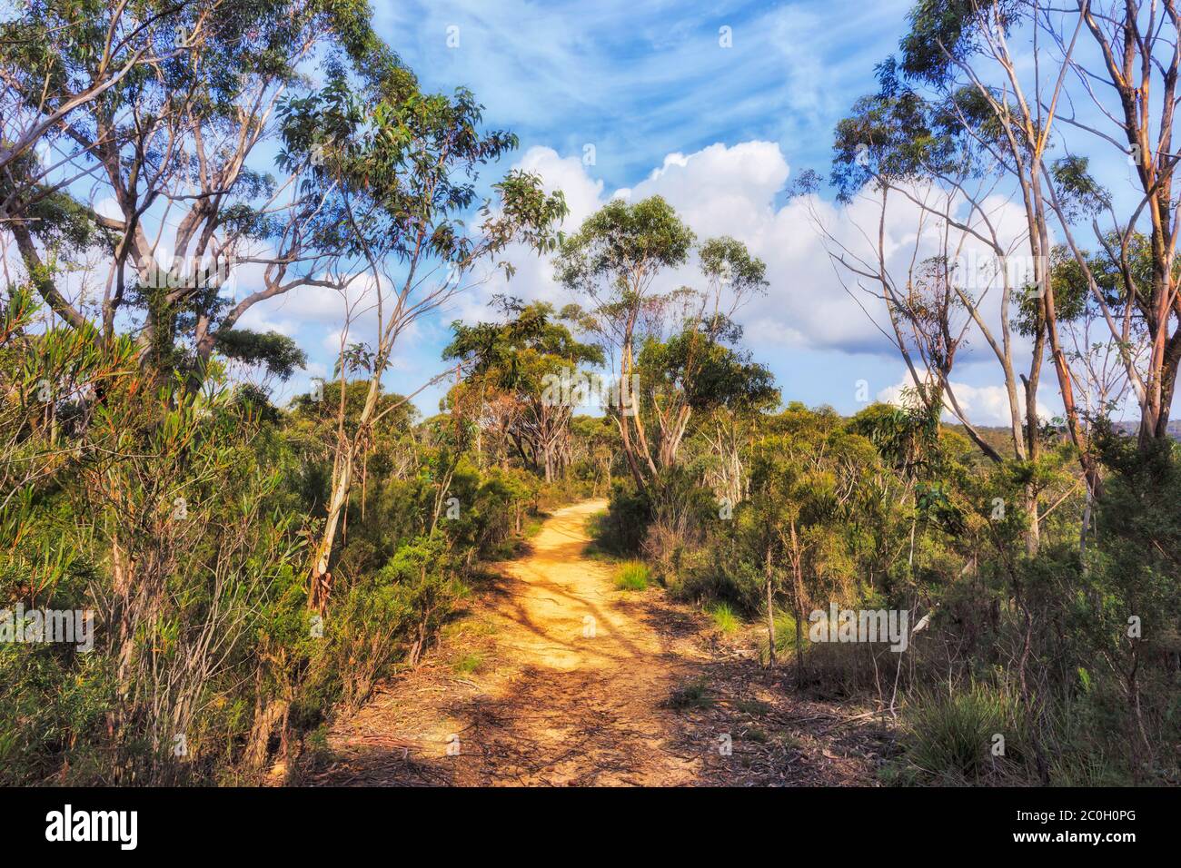 Walking track in Grand Canyon, Blue mountains of Australia. Authentic ...