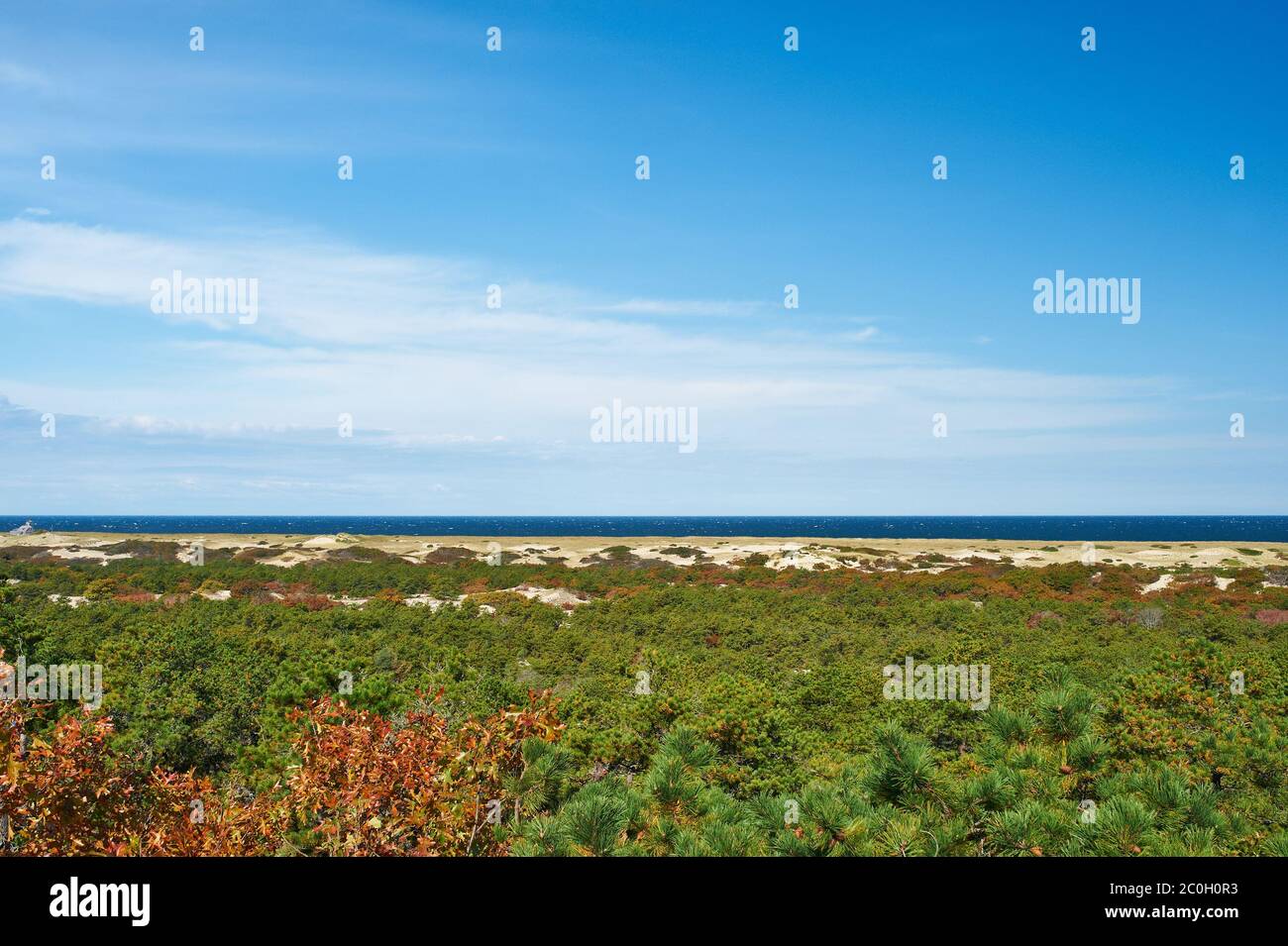 Landscape at Cape Cod Stock Photo - Alamy
