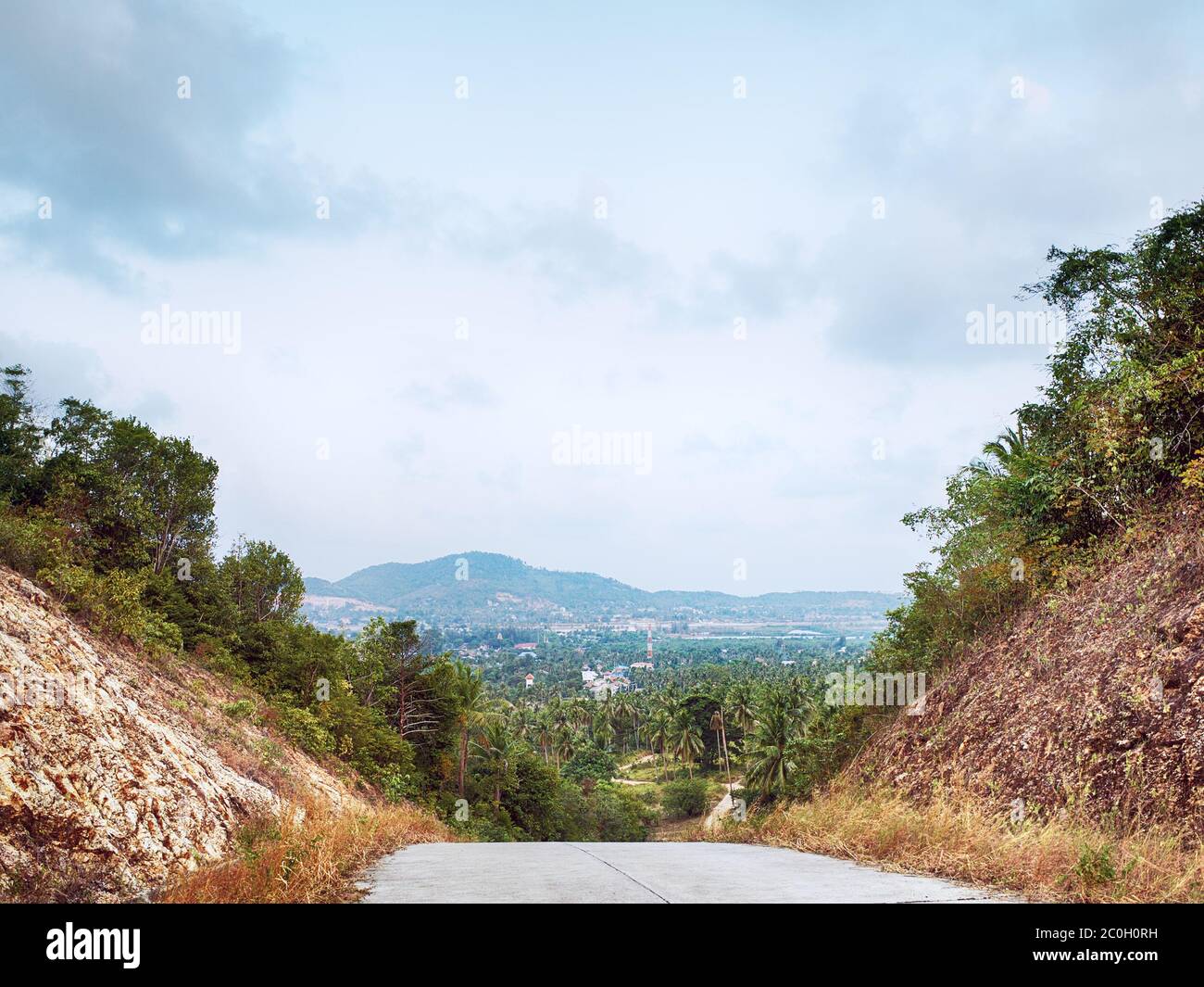 Road in Jungle Stock Photo - Alamy
