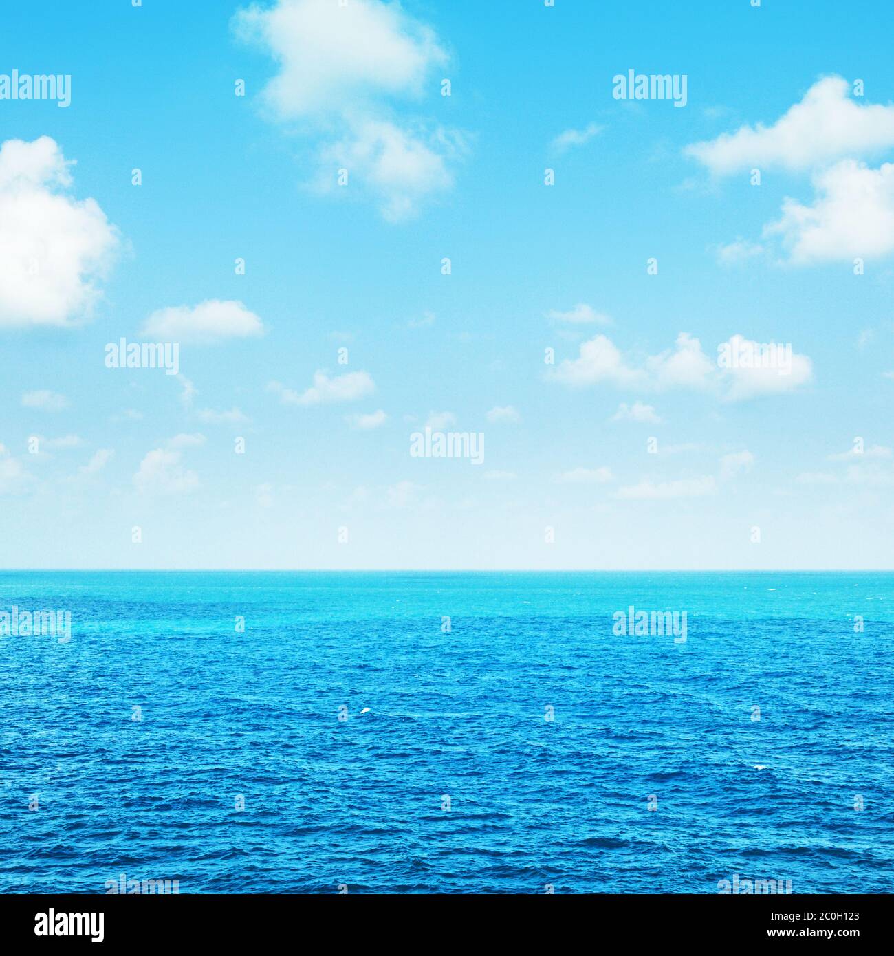 Beautiful seabed hi-res stock photography and images - Alamy