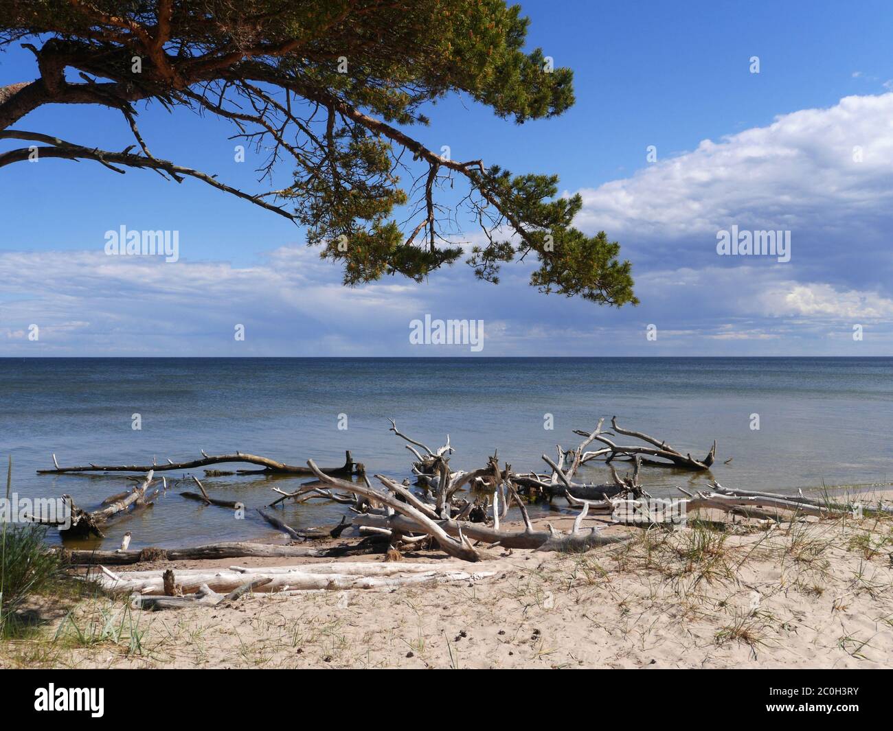 Cape Kolka, Latvia Stock Photo - Alamy