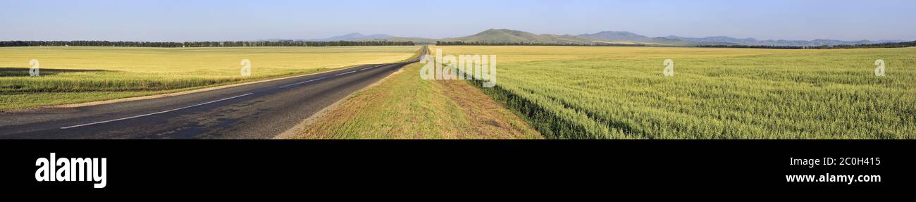 Beautiful panorama the road among farm fields Stock Photo - Alamy