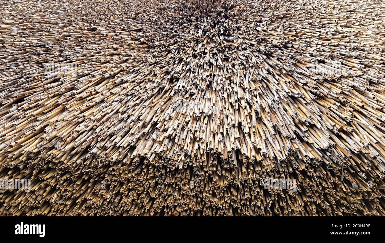 Straw pattern. Thatched grass, roof or wall. Straw, hay or dry grass ...
