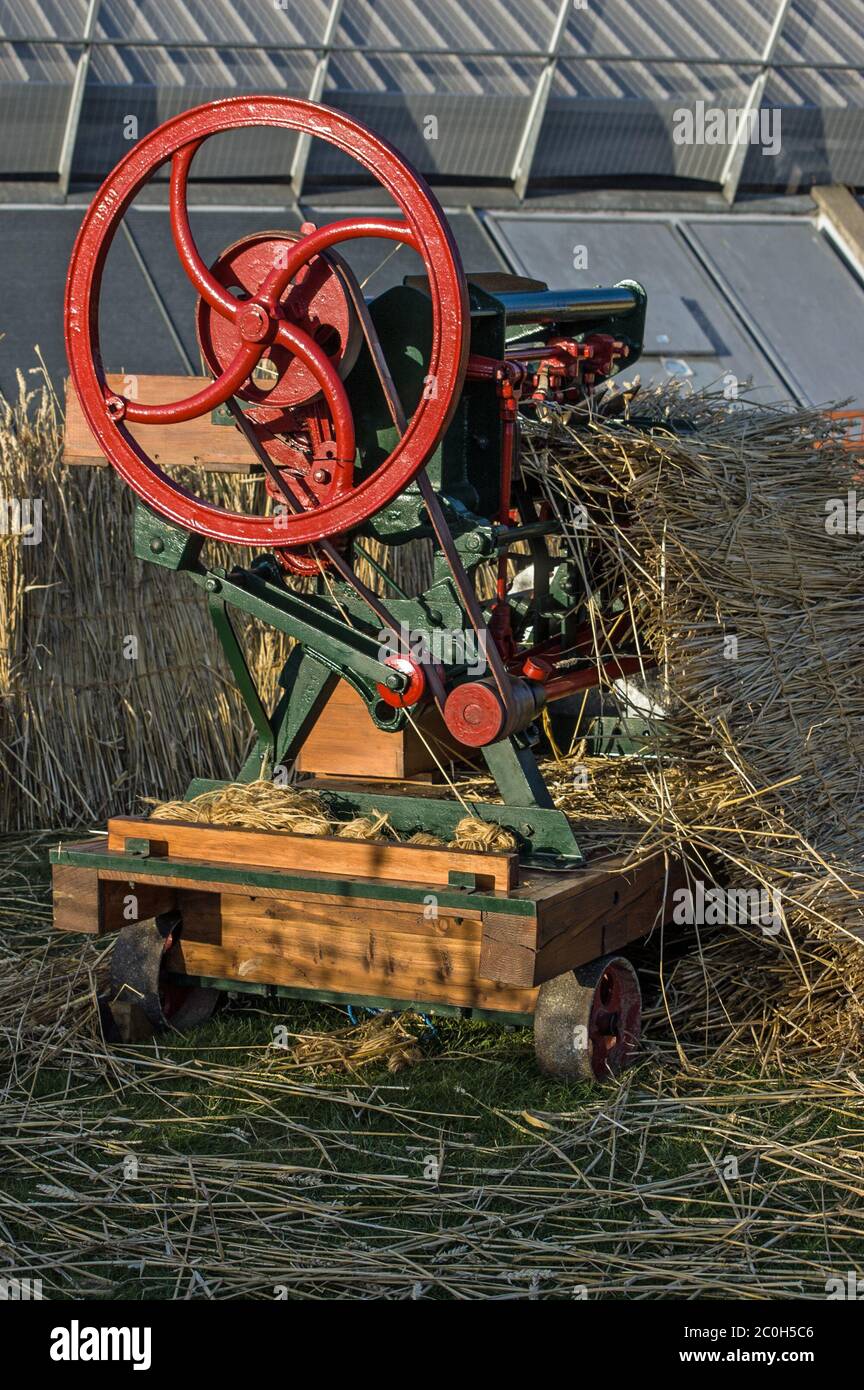 An antique steam operated machine for producing straw mats. Over 100 ...