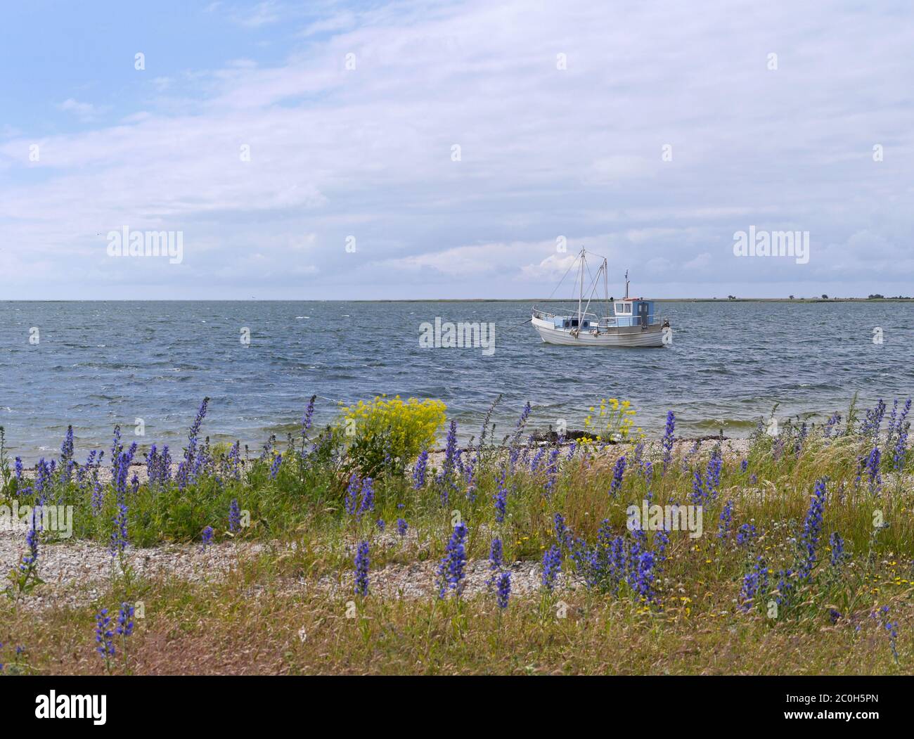 Saare island hi-res stock photography and images - Alamy