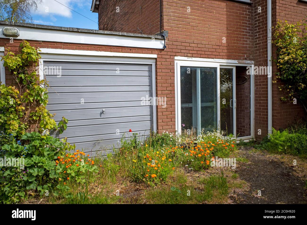 Overgrown driveway hi-res stock photography and images - Alamy