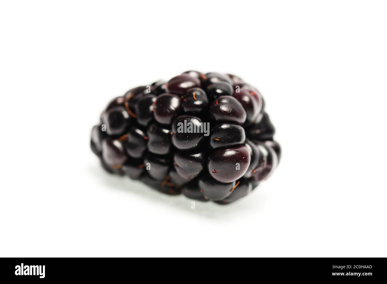 Single fresh blackberry isolated on white background Stock Photo - Alamy