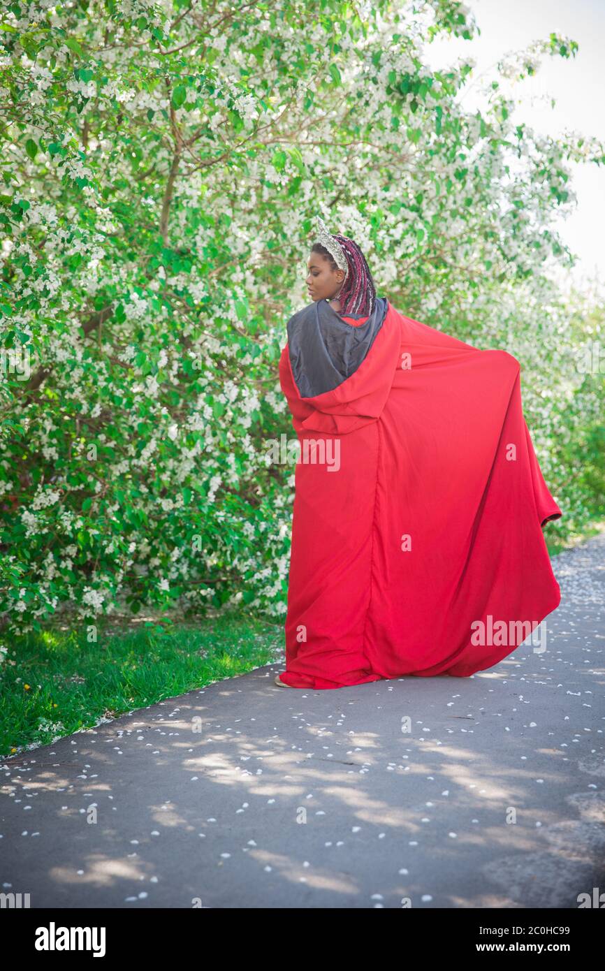 Queen in the crown and royal mantle. Lovely girl on the background of a ...