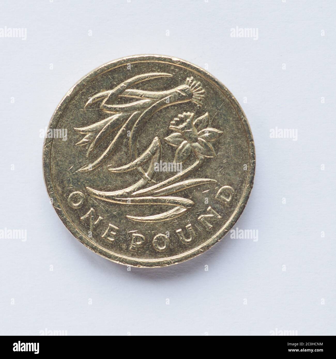 UK 1 Pound coin Stock Photo - Alamy