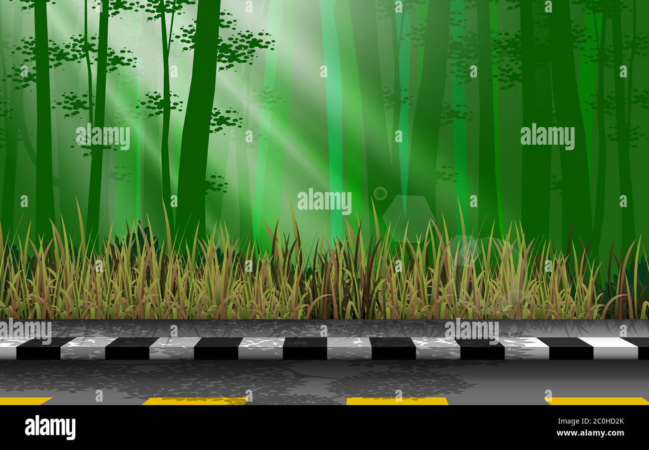 Forest road in rural Stock Vector Images - Alamy