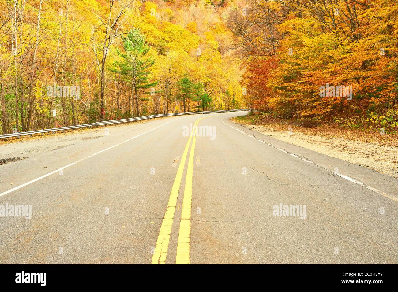 Autumn scene with road Stock Photo - Alamy