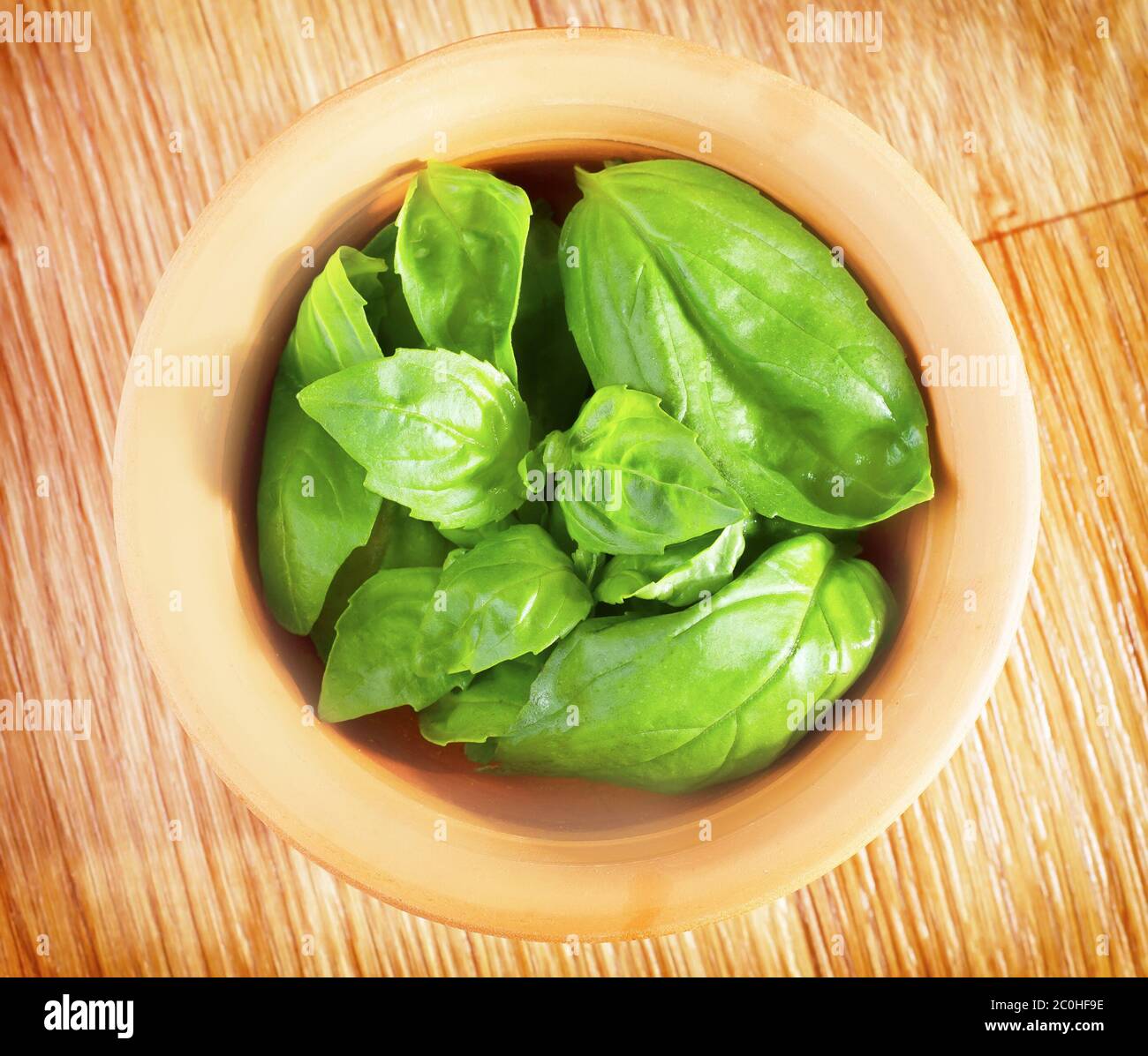 Large leaf basil plant hi-res stock photography and images - Alamy