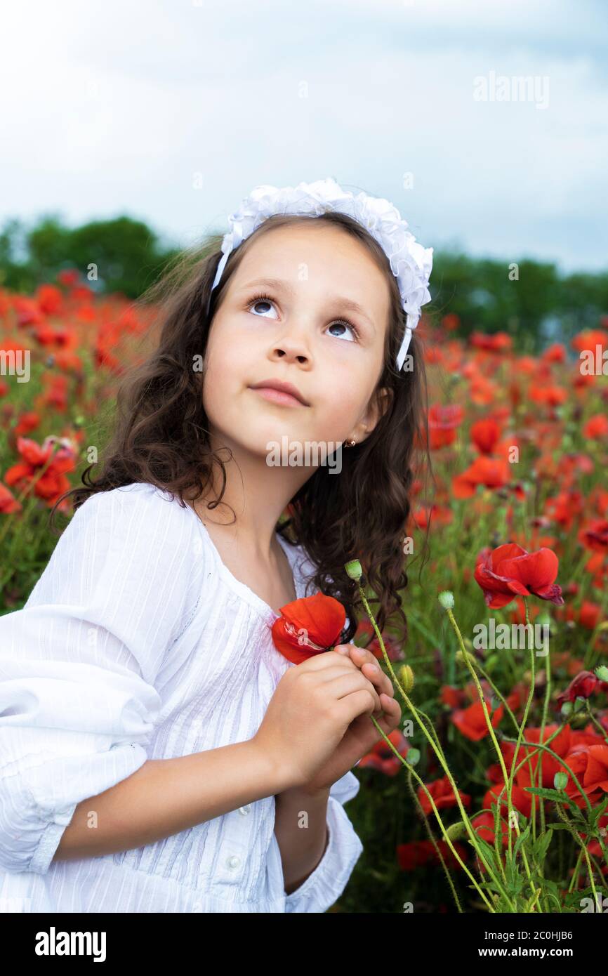 beautiful little girl with a poppy in a poppy field Stock Photo - Alamy