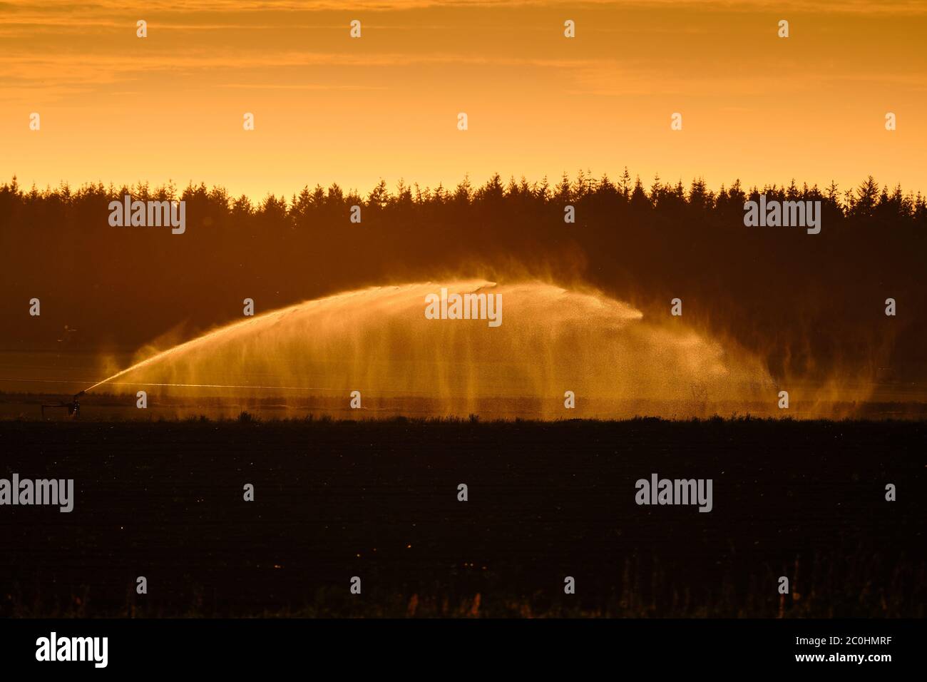 Drought crops hi-res stock photography and images - Alamy