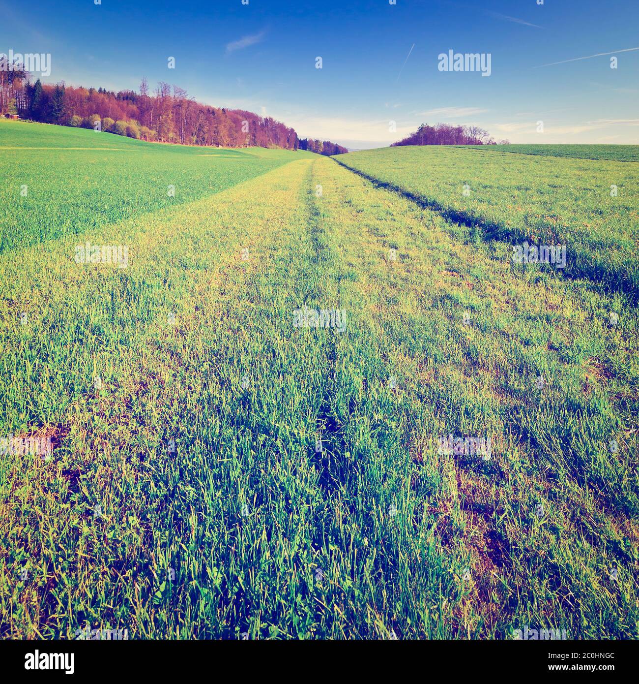 Grass cut hi-res stock photography and images - Alamy