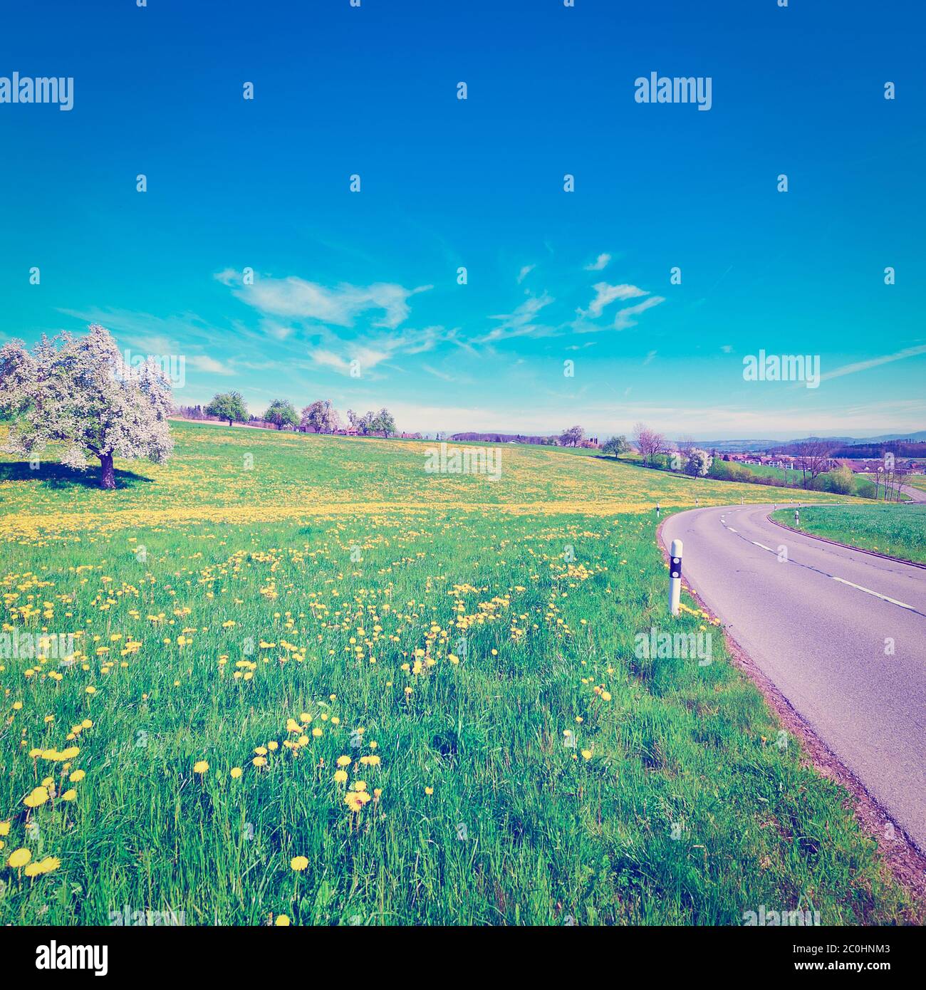 Asphalt road green pasture hi-res stock photography and images - Alamy