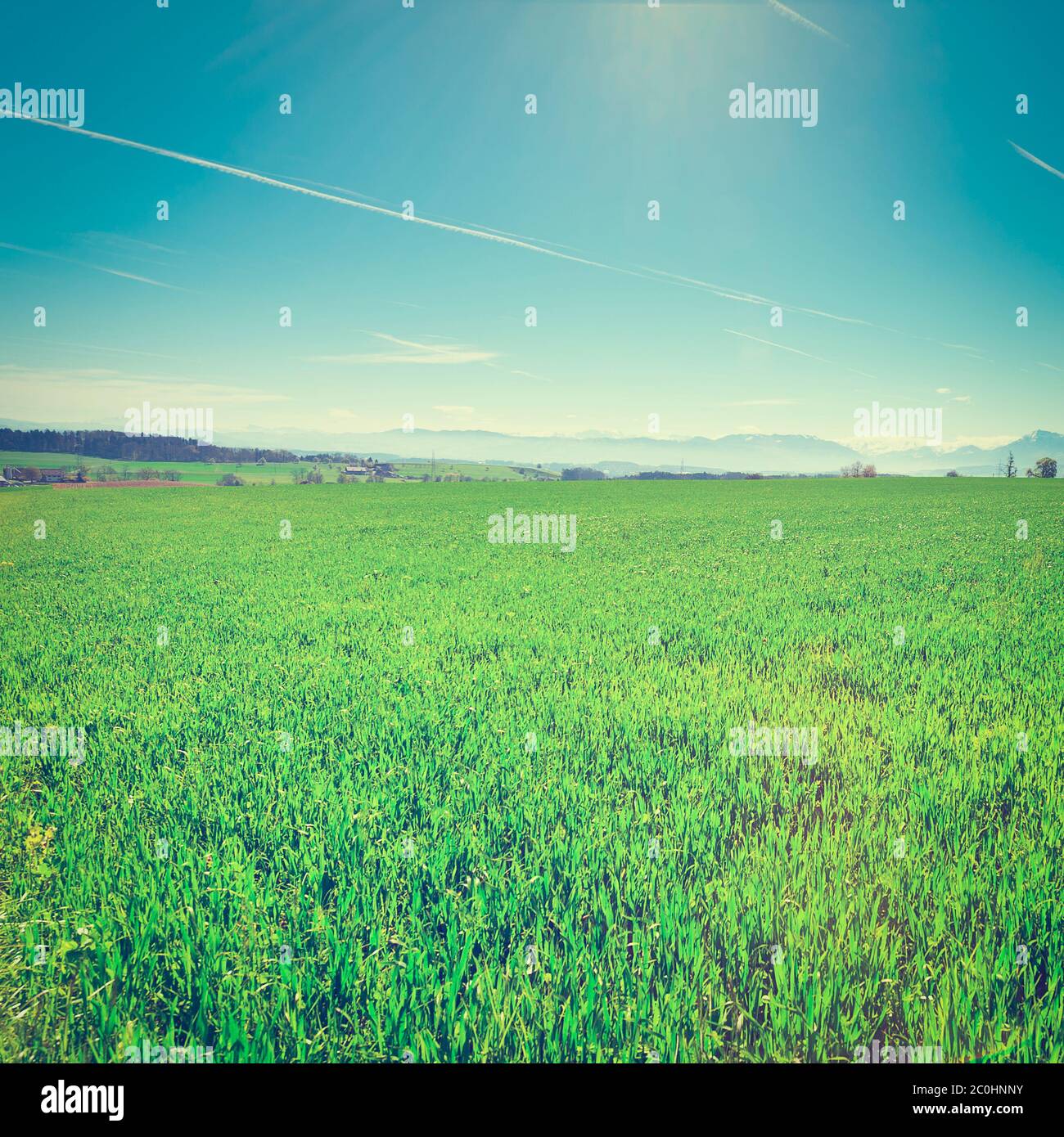 Pasture land switzerland hi-res stock photography and images - Alamy