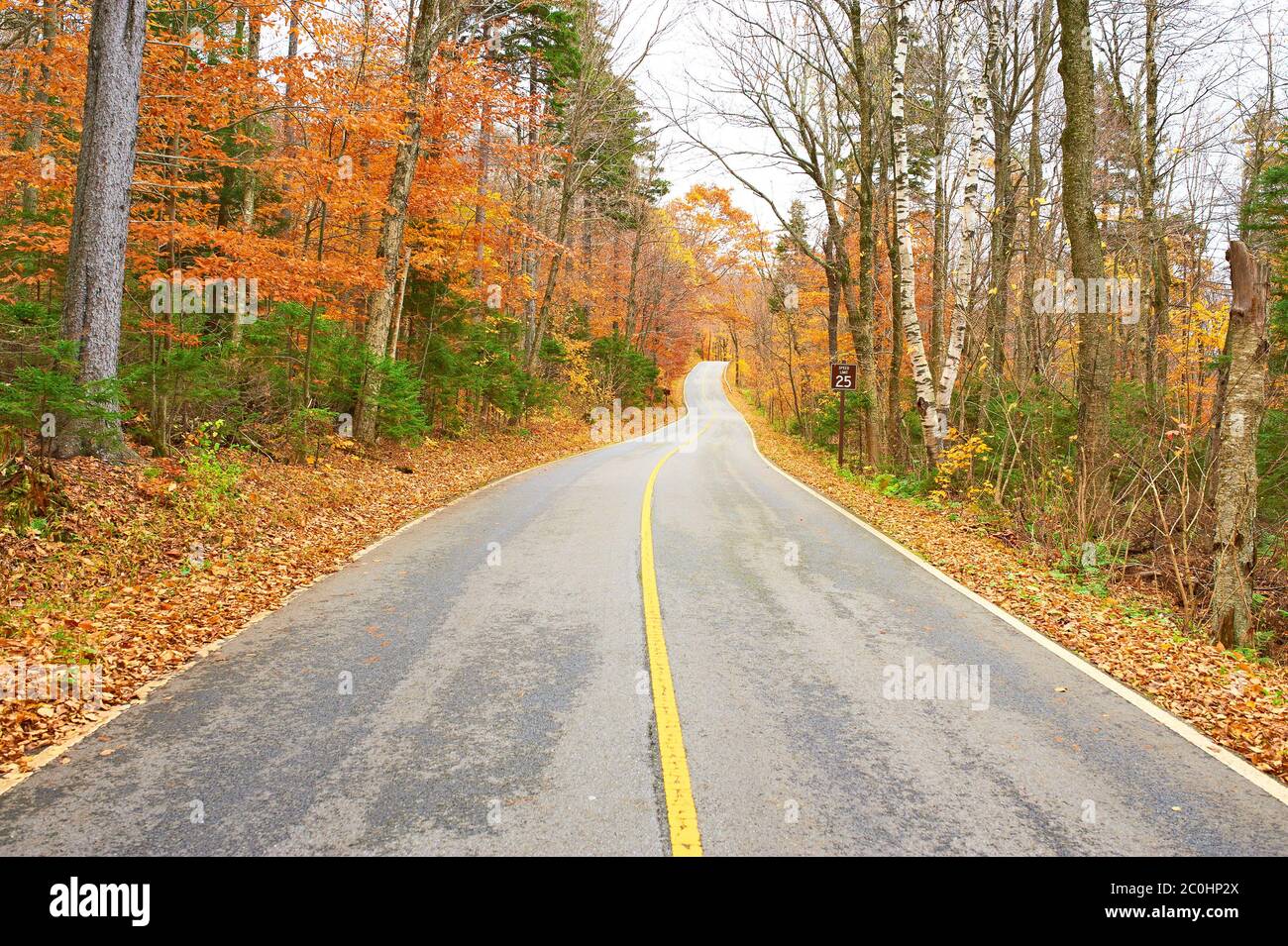 Autumn scene with road Stock Photo - Alamy