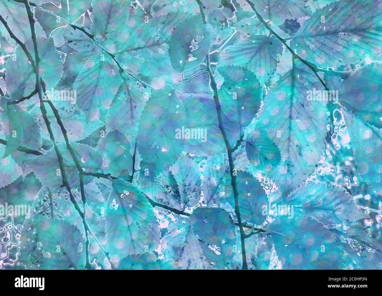 Nature Collage Background Stock Photo - Alamy