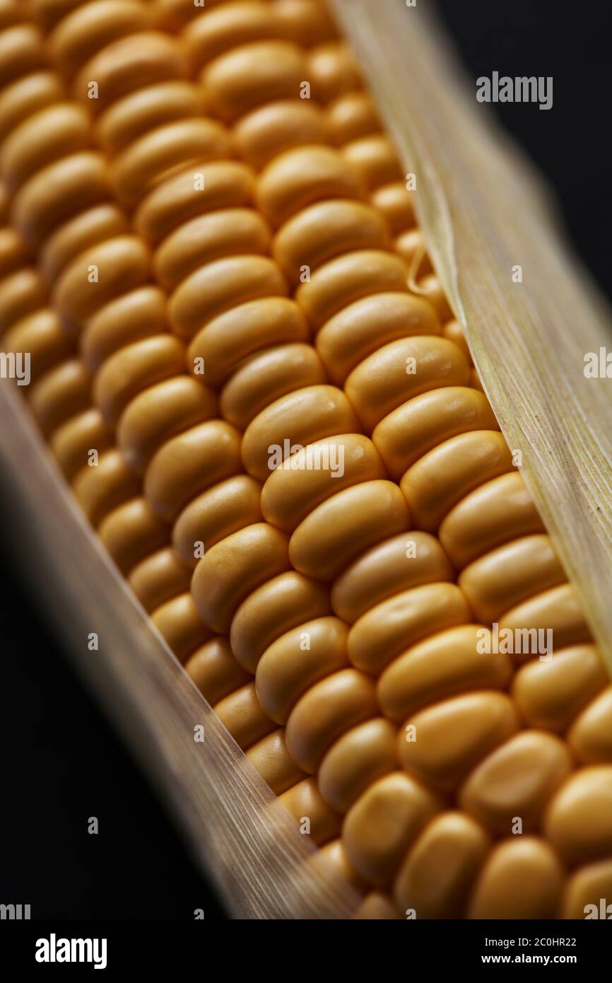 Sweet corn on the cob close up Stock Photo - Alamy