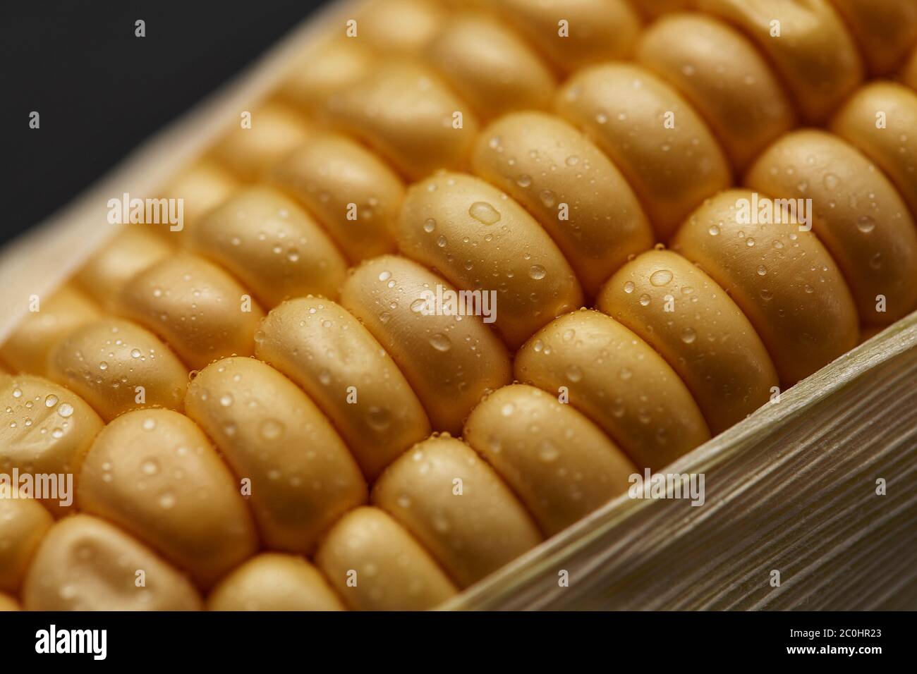 Sweet corn on the cob close up Stock Photo - Alamy