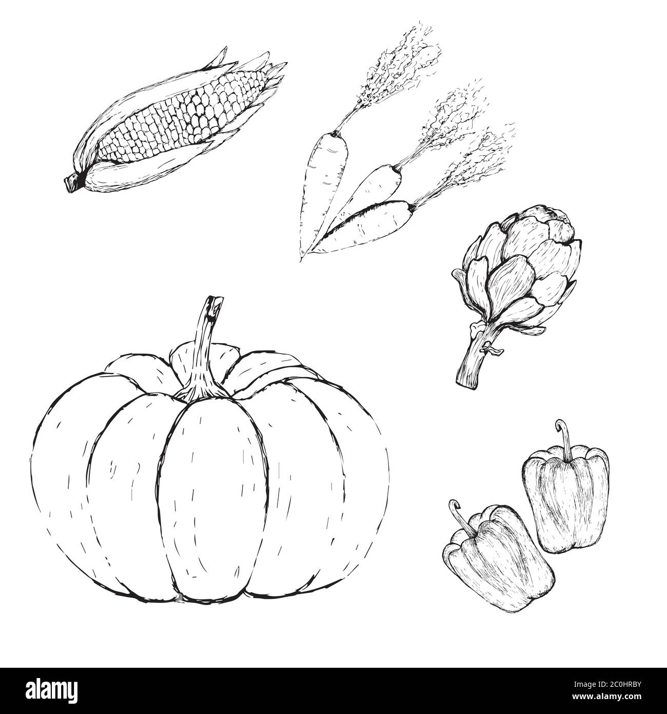 A hand-drawn vegetable set. Organic ECO-vegetable food background ...