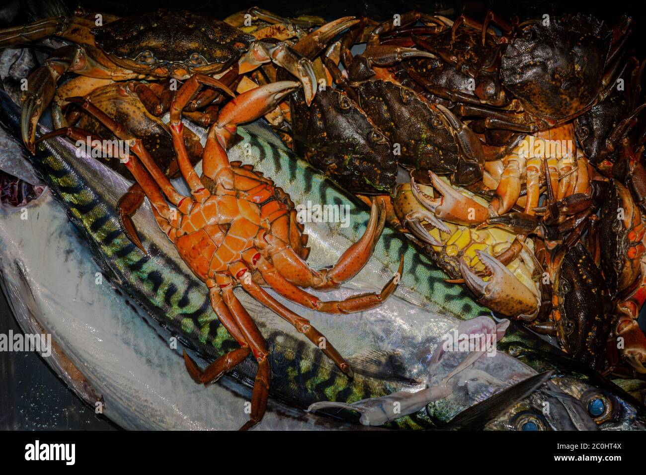 Fresh catch hi-res stock photography and images - Alamy