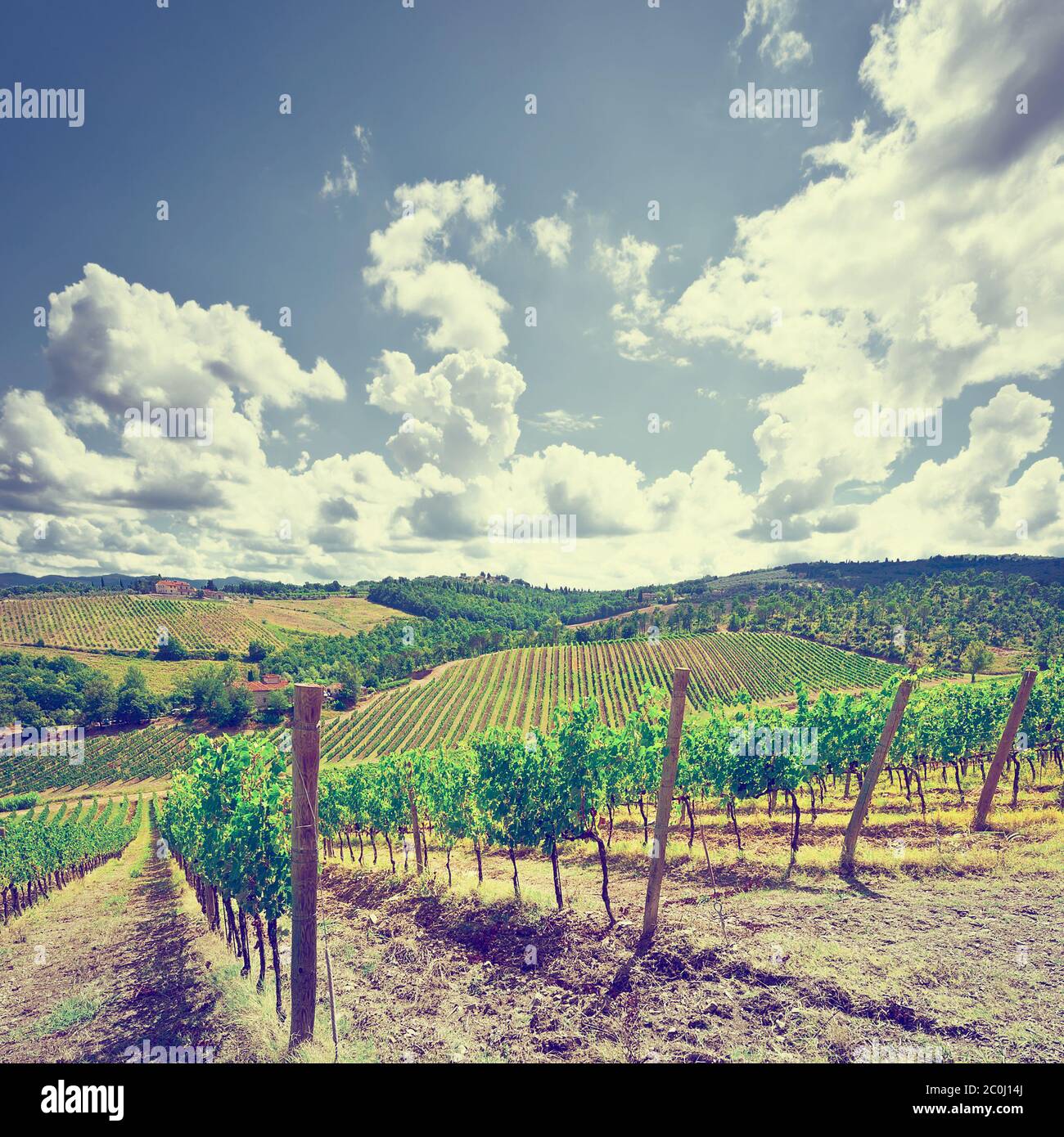 Vineyard beauty hi-res stock photography and images - Alamy