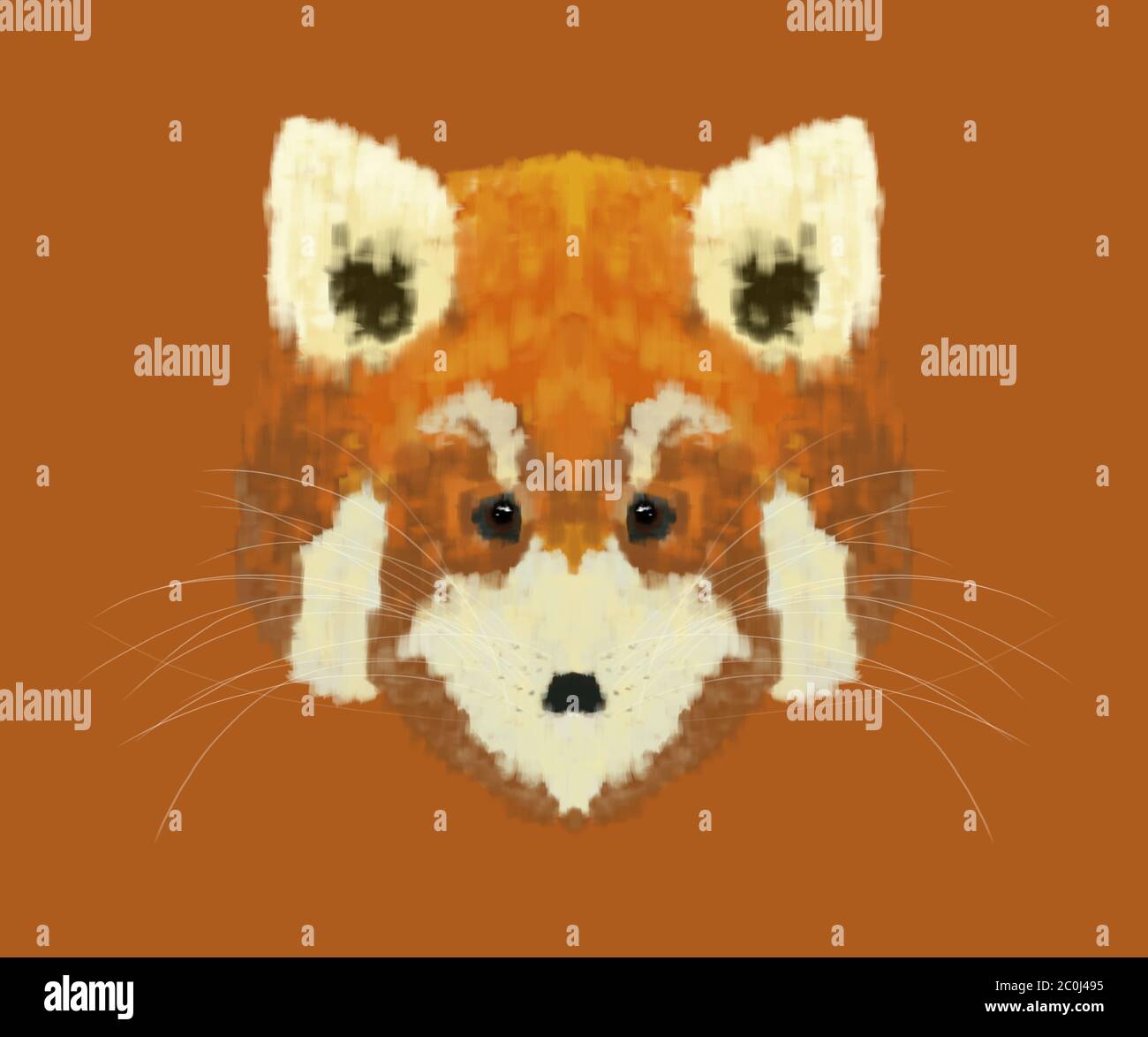 Red panda head Stock Photo - Alamy