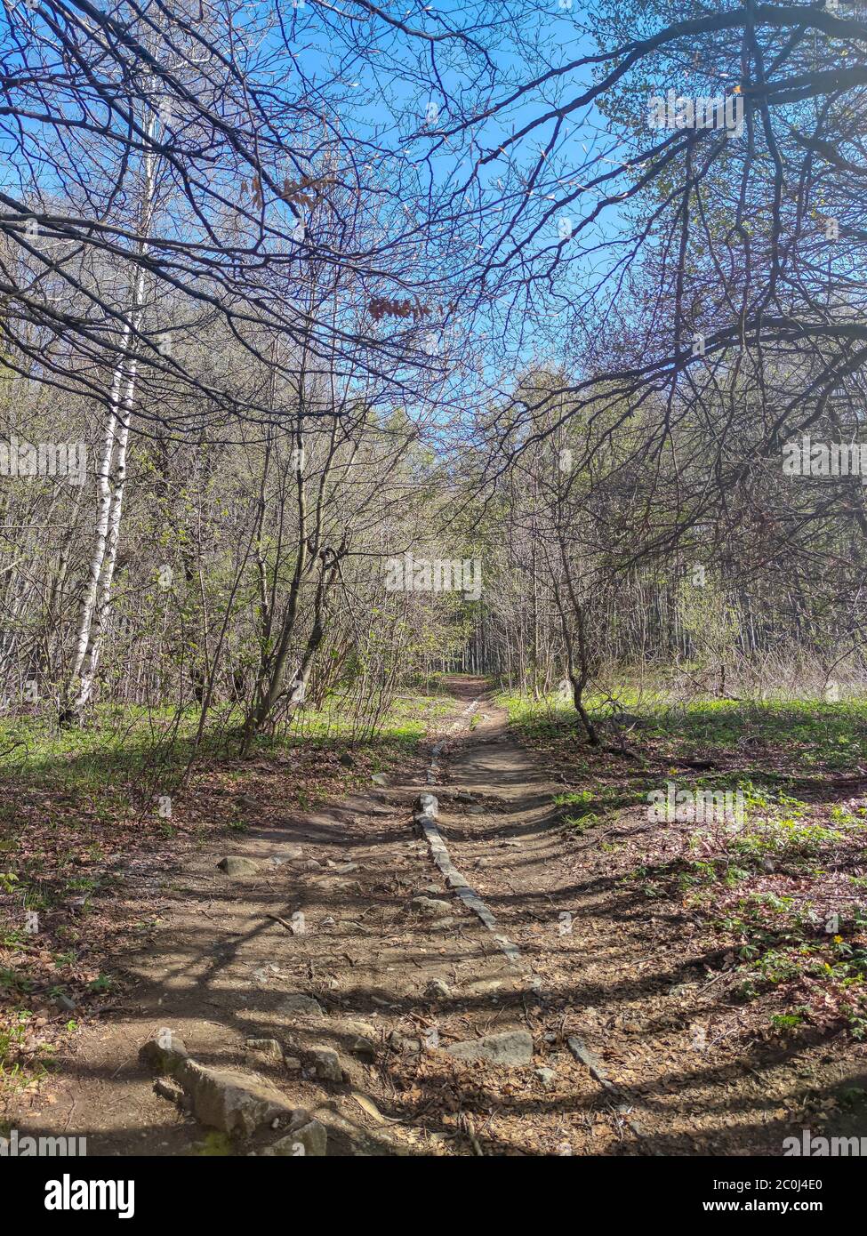 Spring Landscape of Vitosha Mountain, Sofia City Region, Bulgaria Stock ...
