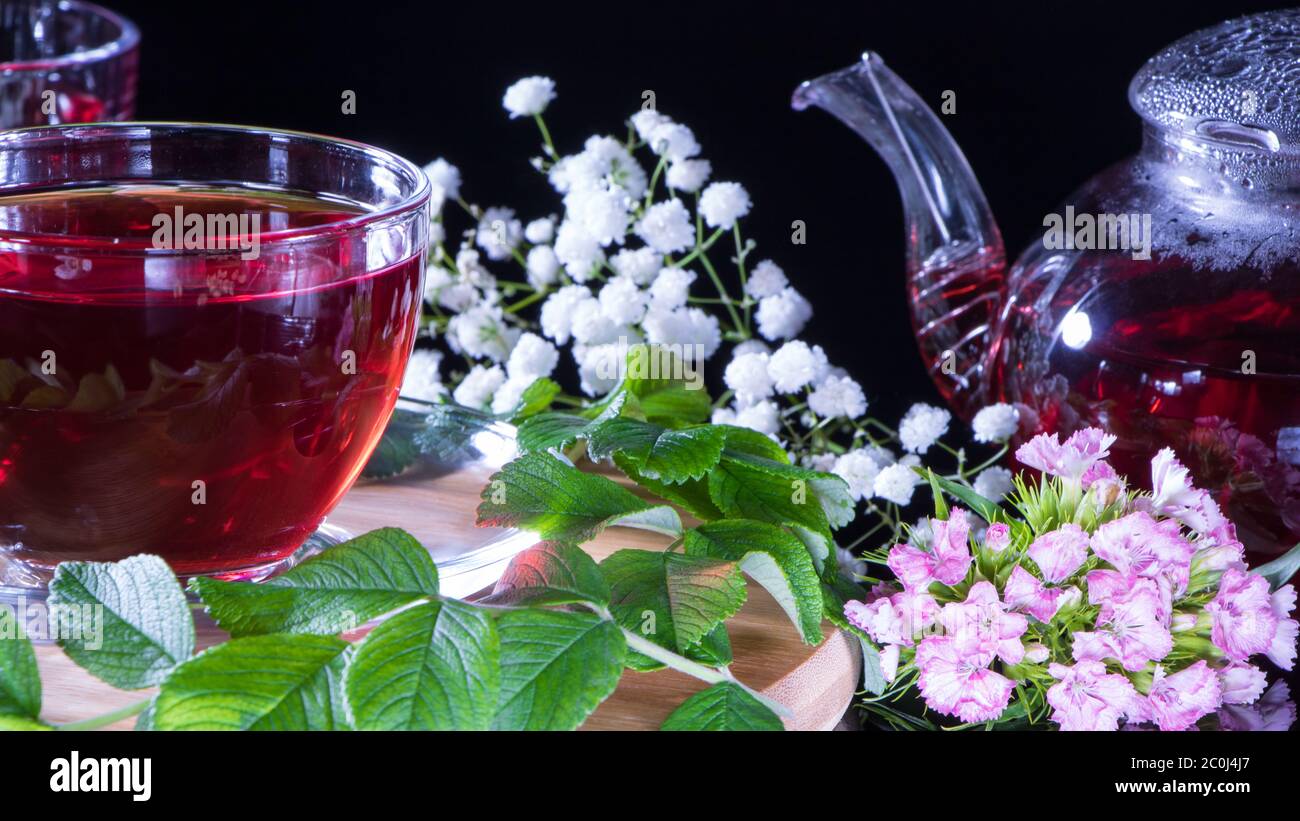 Carnation of india hi-res stock photography and images - Alamy