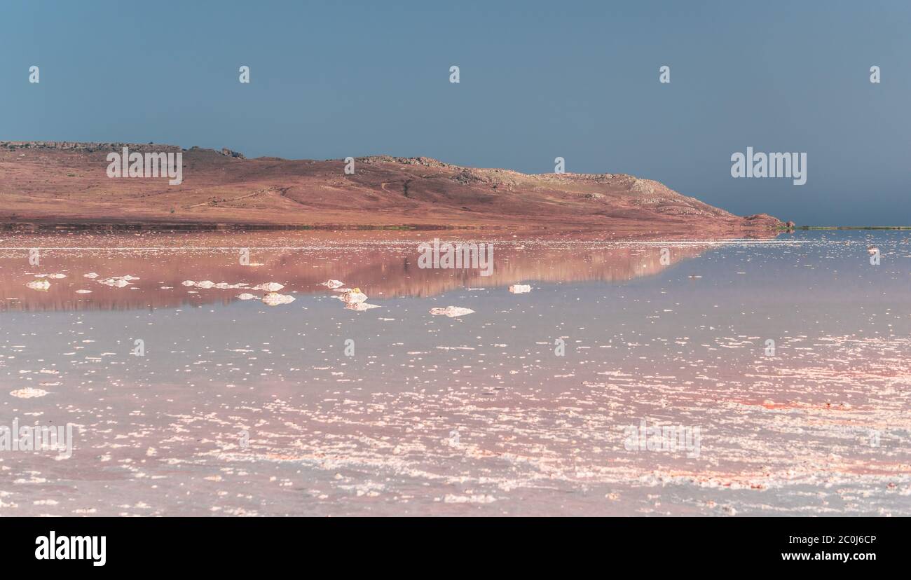 Brine and salt of a pink lake Koyash colored by microalgae Dunaliella ...