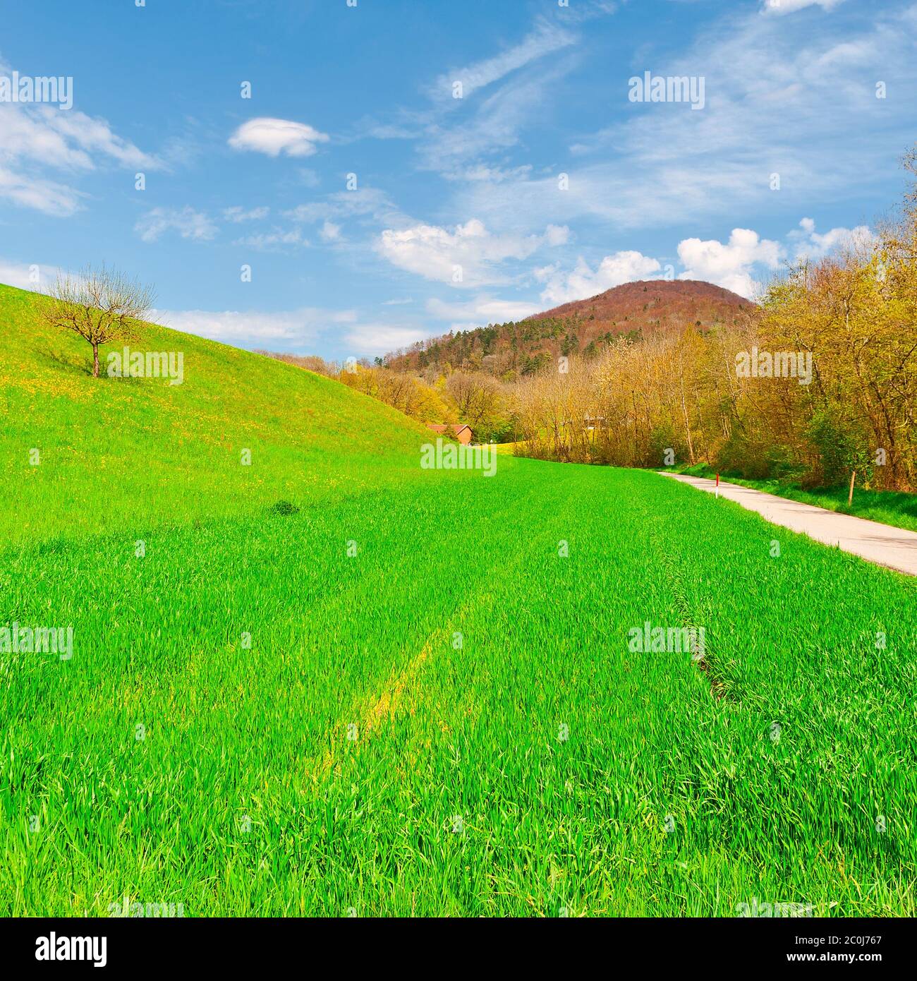 Asphalt path hi-res stock photography and images - Alamy