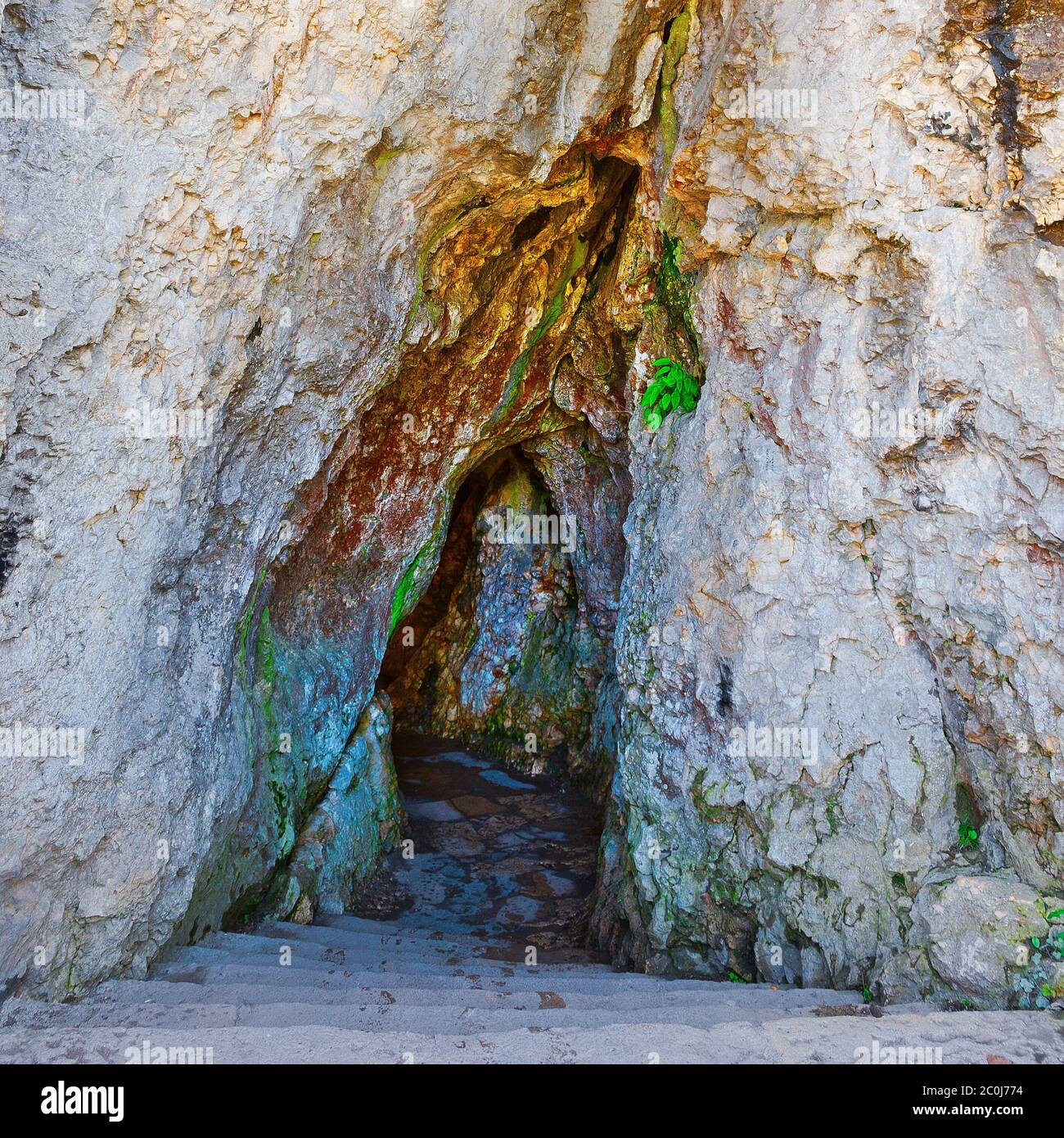 Moss cave hi-res stock photography and images - Alamy