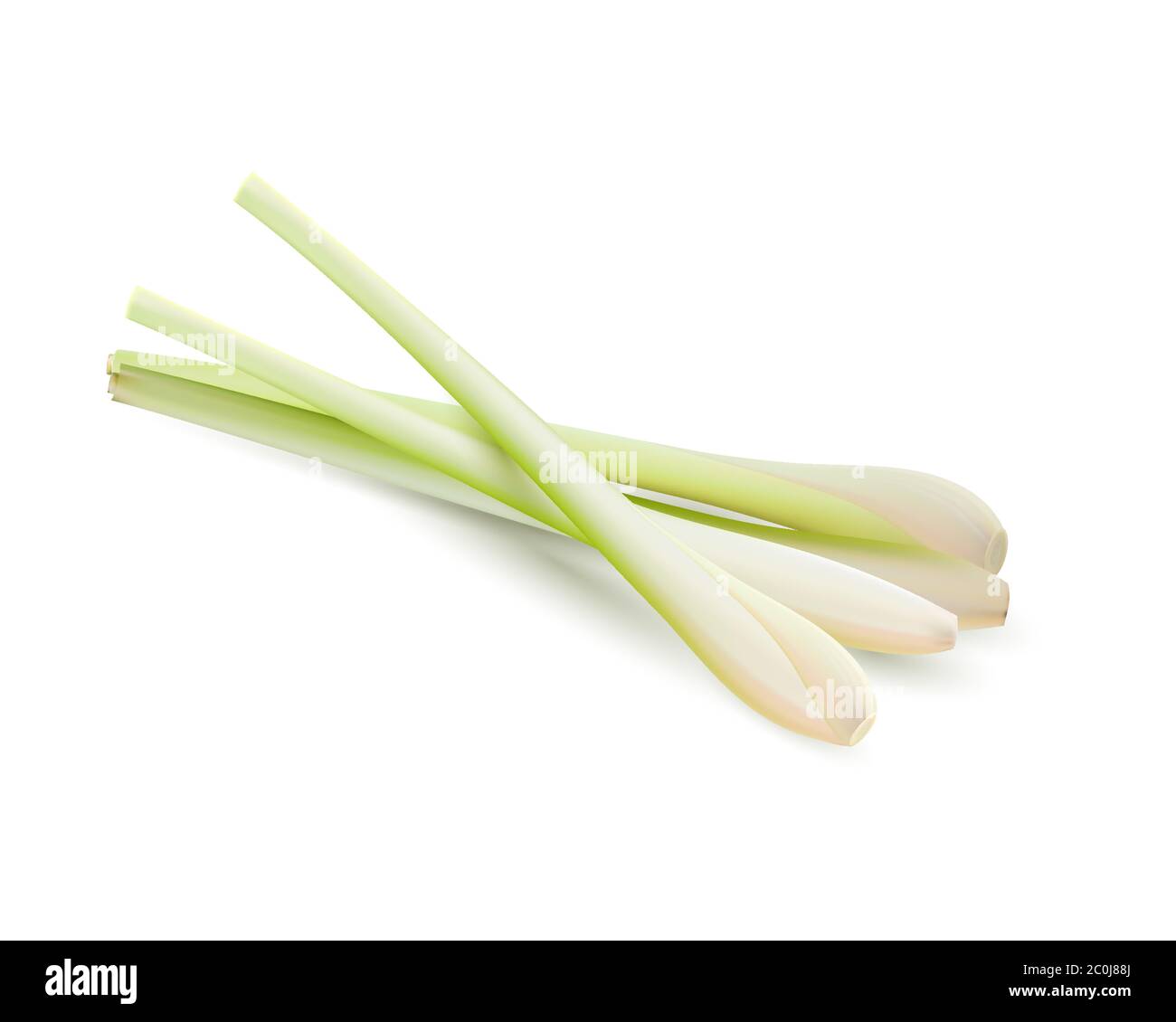 Natural background dried grass Stock Vector Images - Alamy